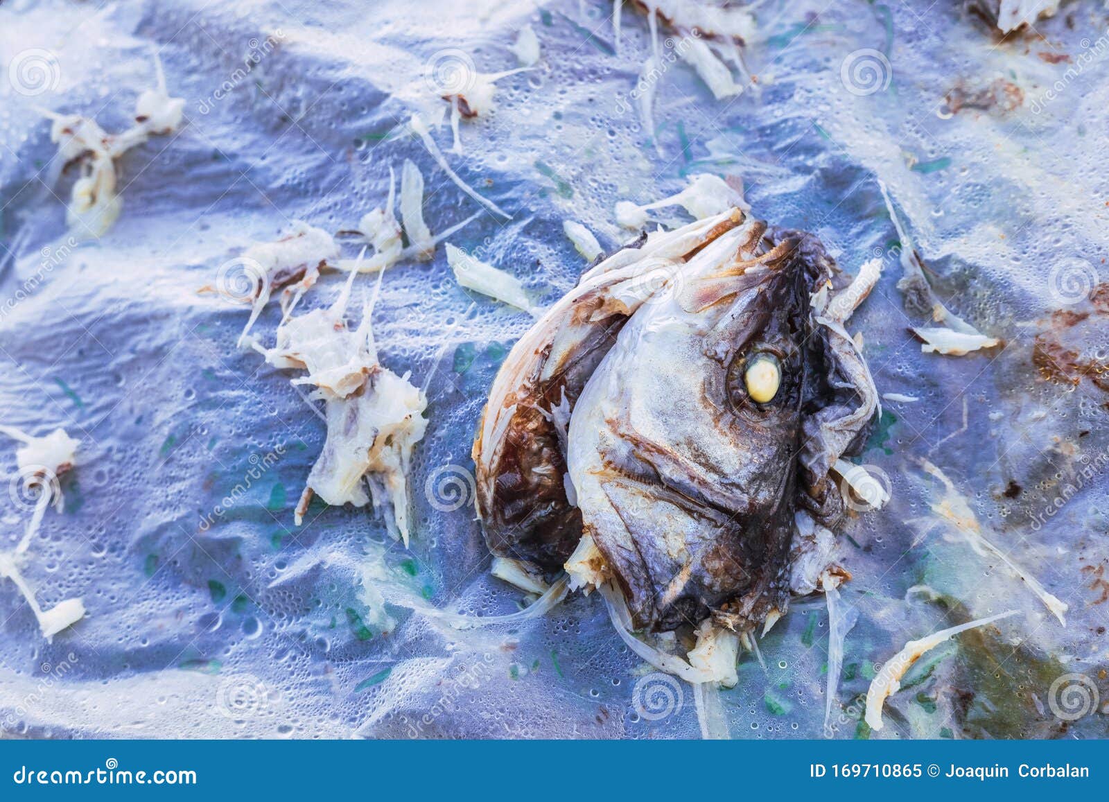 Head and Scrapes of a Fish Thrown in the Trash Stock Image - Image of ...