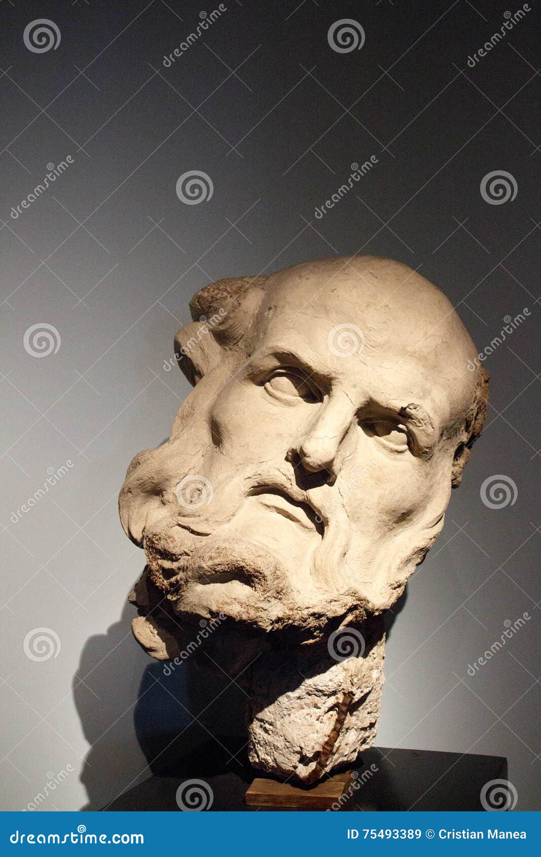 Head Sculpture in Plaster, Rome Editorial Stock Image - Image of ...