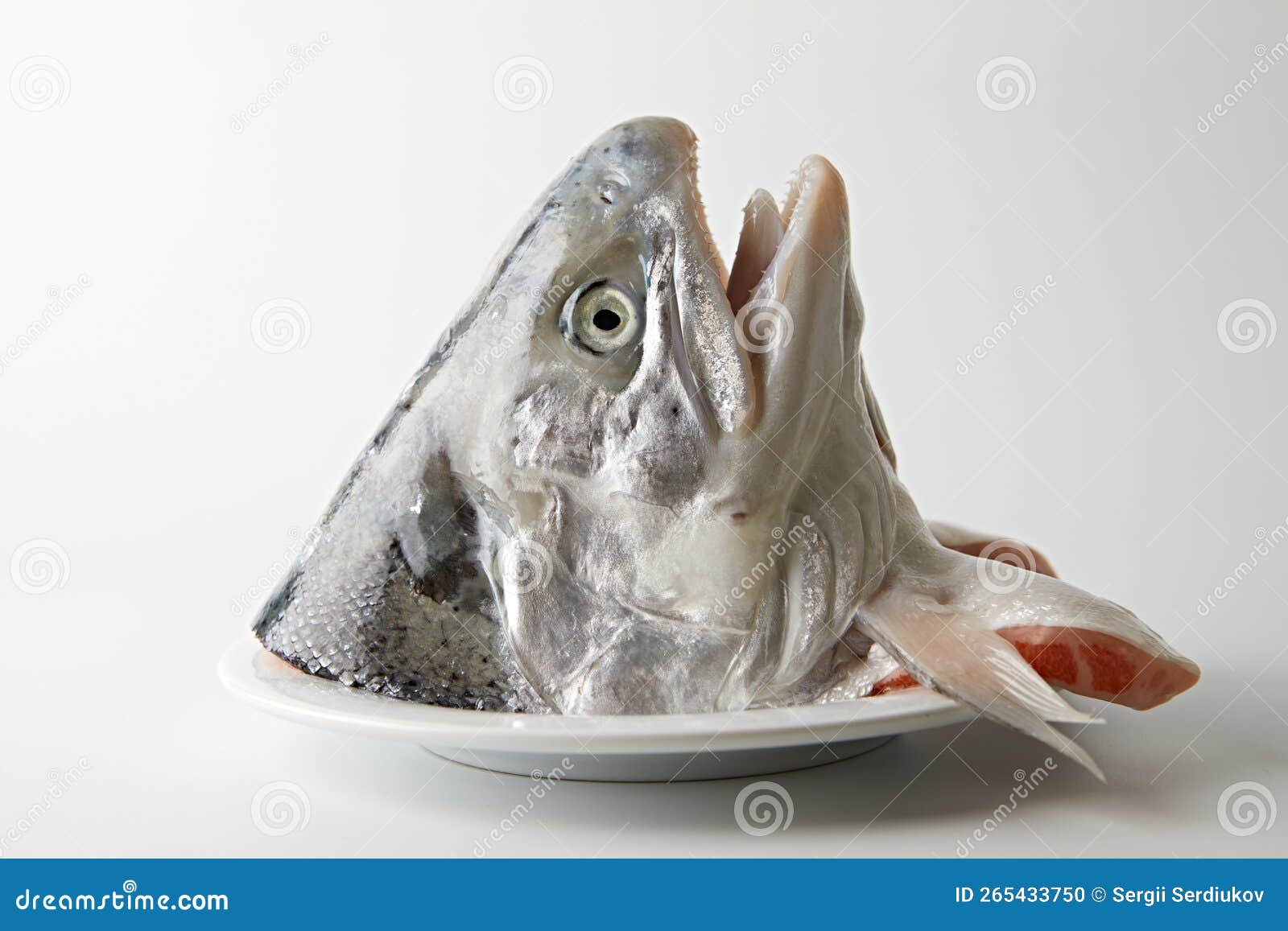 Head of a Sea Fish Close-up Stock Photo - Image of healthy, delicious ...