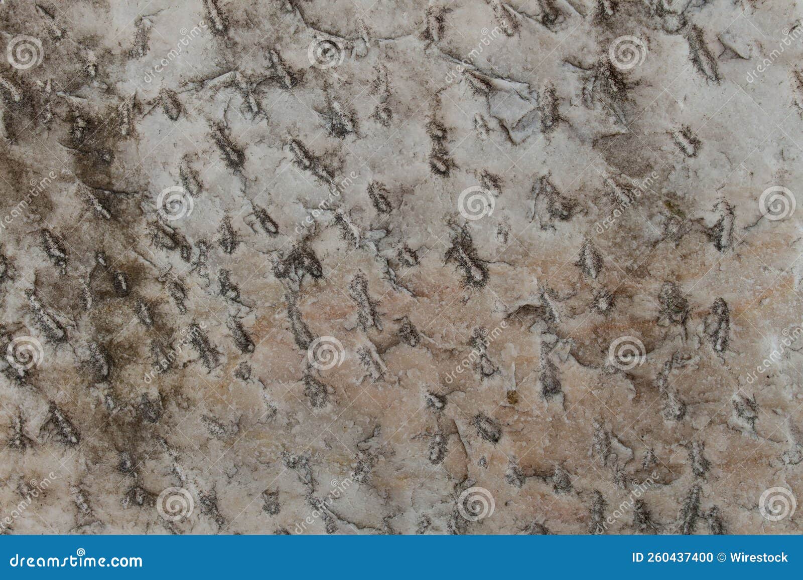 Head on Brown Dirty Marble Texture Stock Photo - Image of texture, gray ...