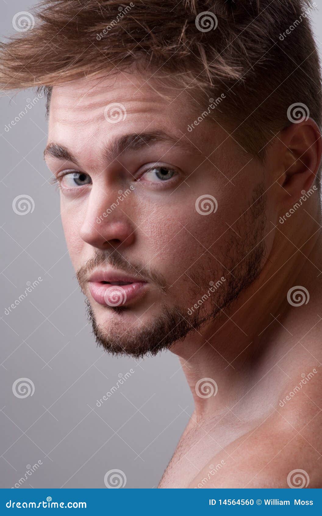 Head Shot of Handsome Man stock photo. Image of contact - 14564560