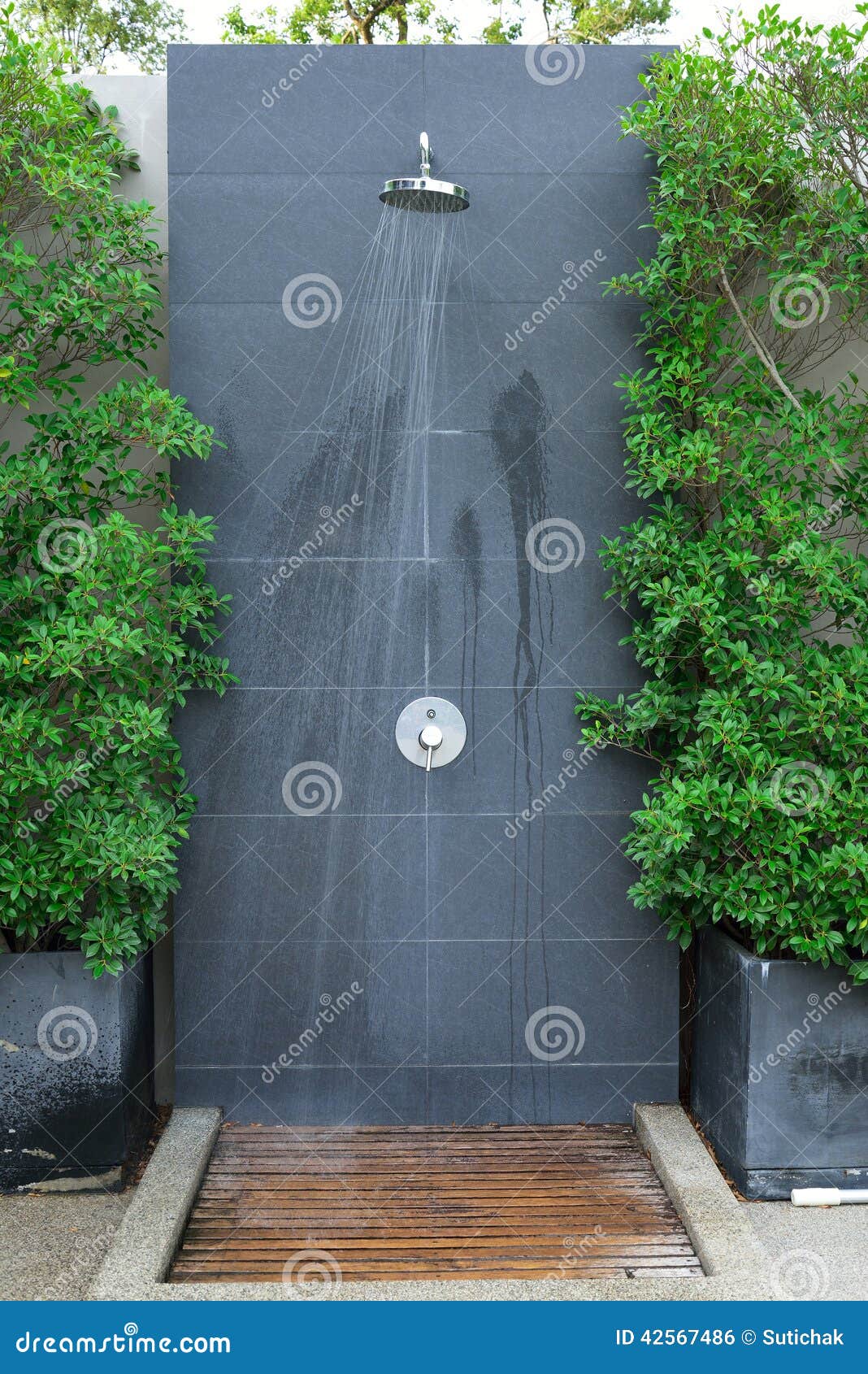 Head shower water stream stock photo. Image of resort - 42567486