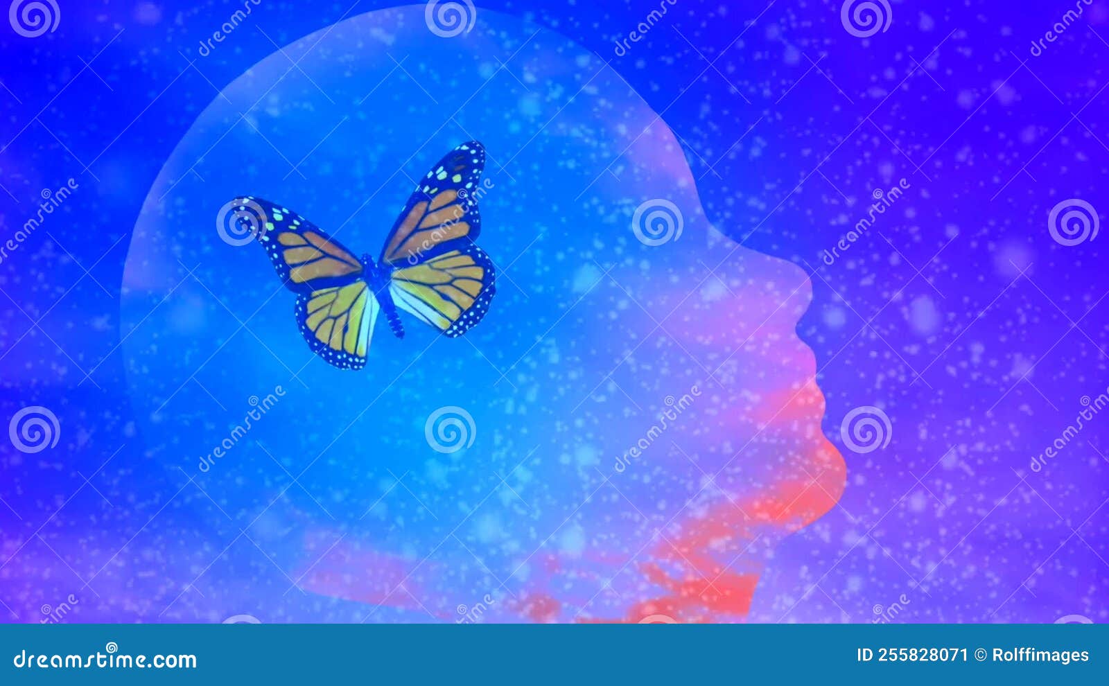 Head silhouette in the sky stock video. Video of light - 255828071