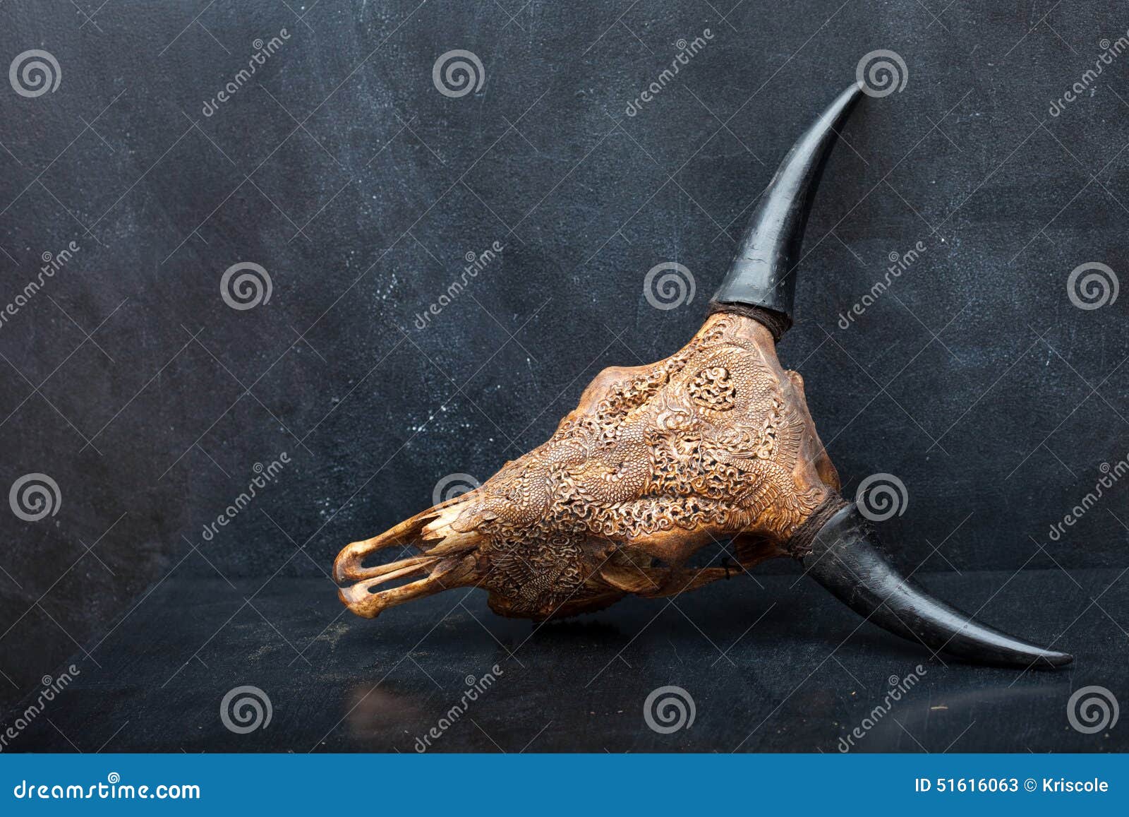 Head Skull of Bull on the Background Textured Stock Image - Image of ...