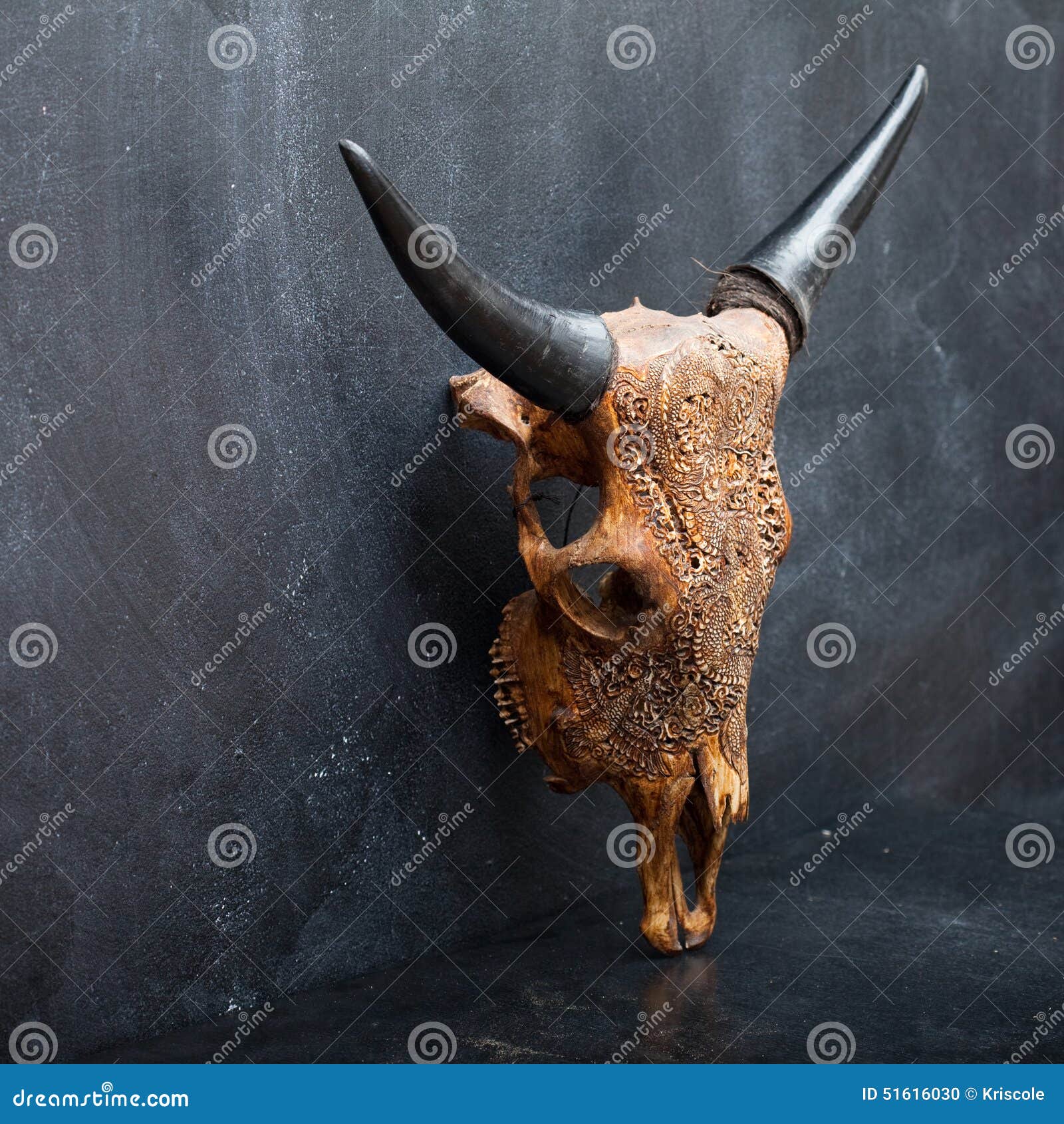 Head Skull of Bull on the Background Textured Stock Photo - Image of ...