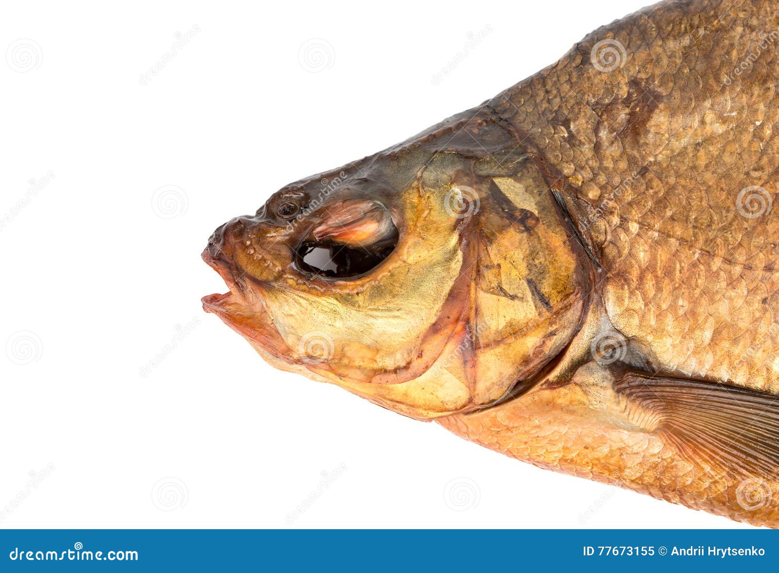 Head smoked fish bream stock image. Image of protein - 77673155