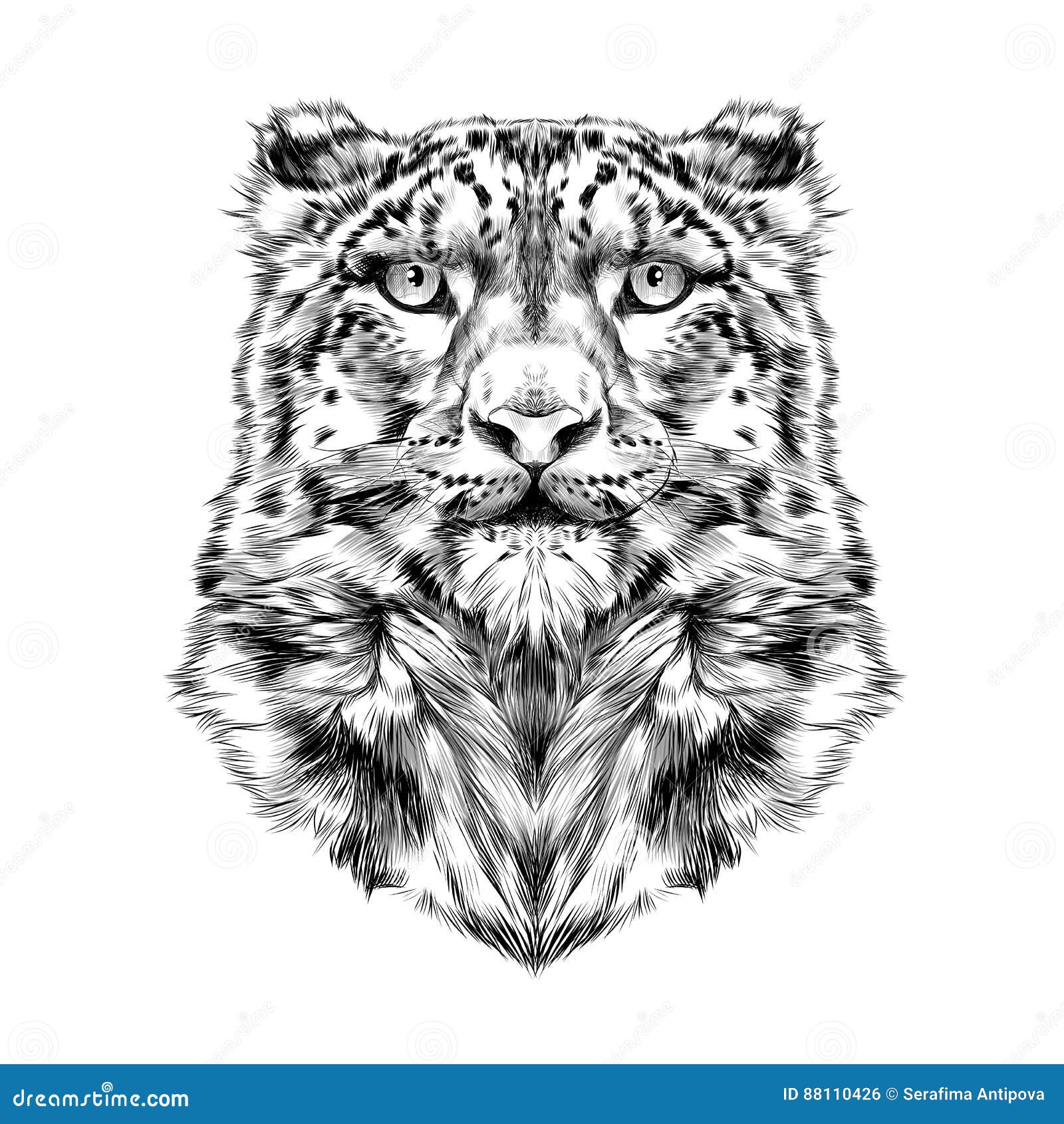 Head of the snow leopard stock vector. Illustration of blackandwhite ...