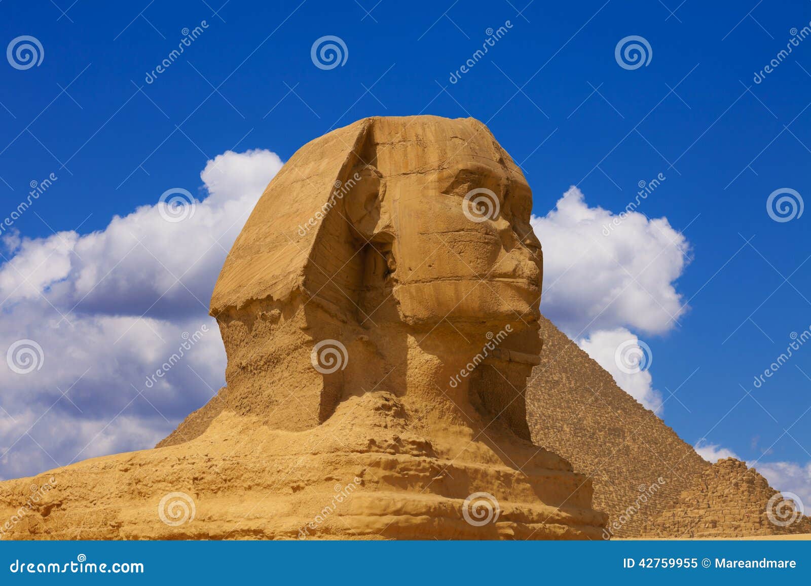 The head of the sphinx stock image. Image of orange, cheops - 42759955