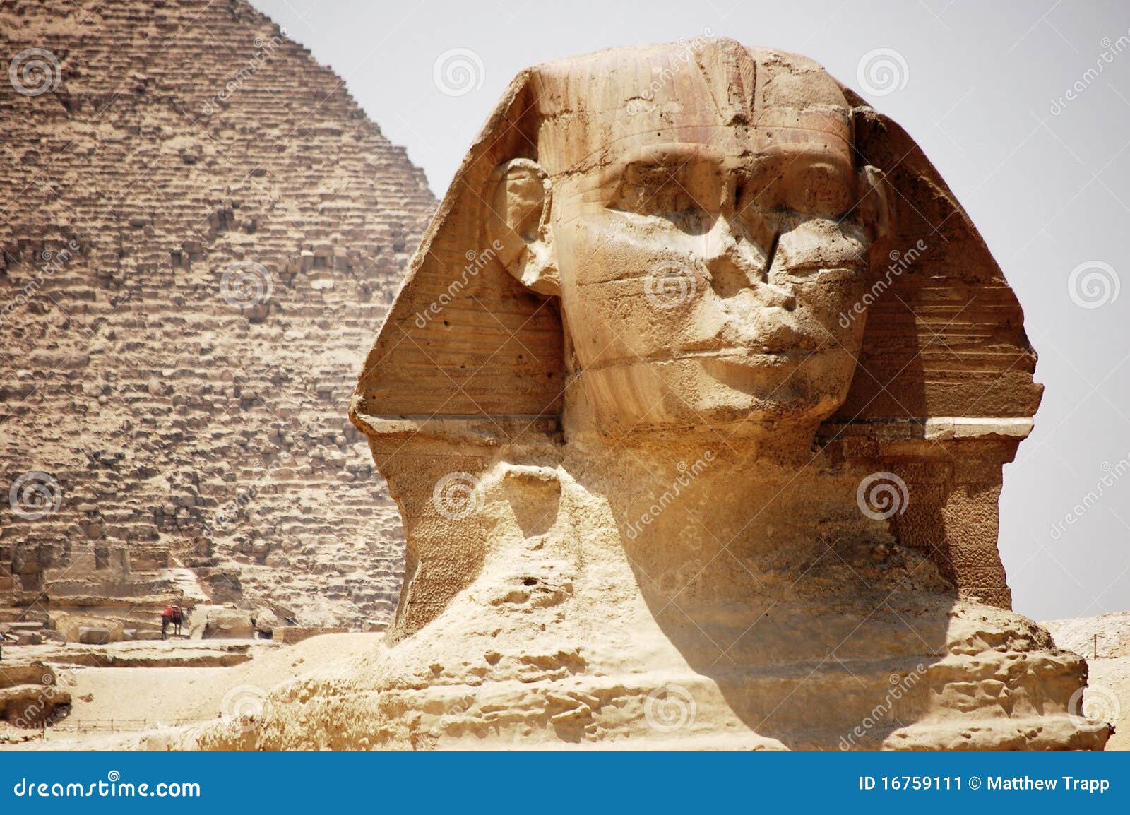 Head of the Sphinx in Giza, Egypt. Stock Image - Image of face ...