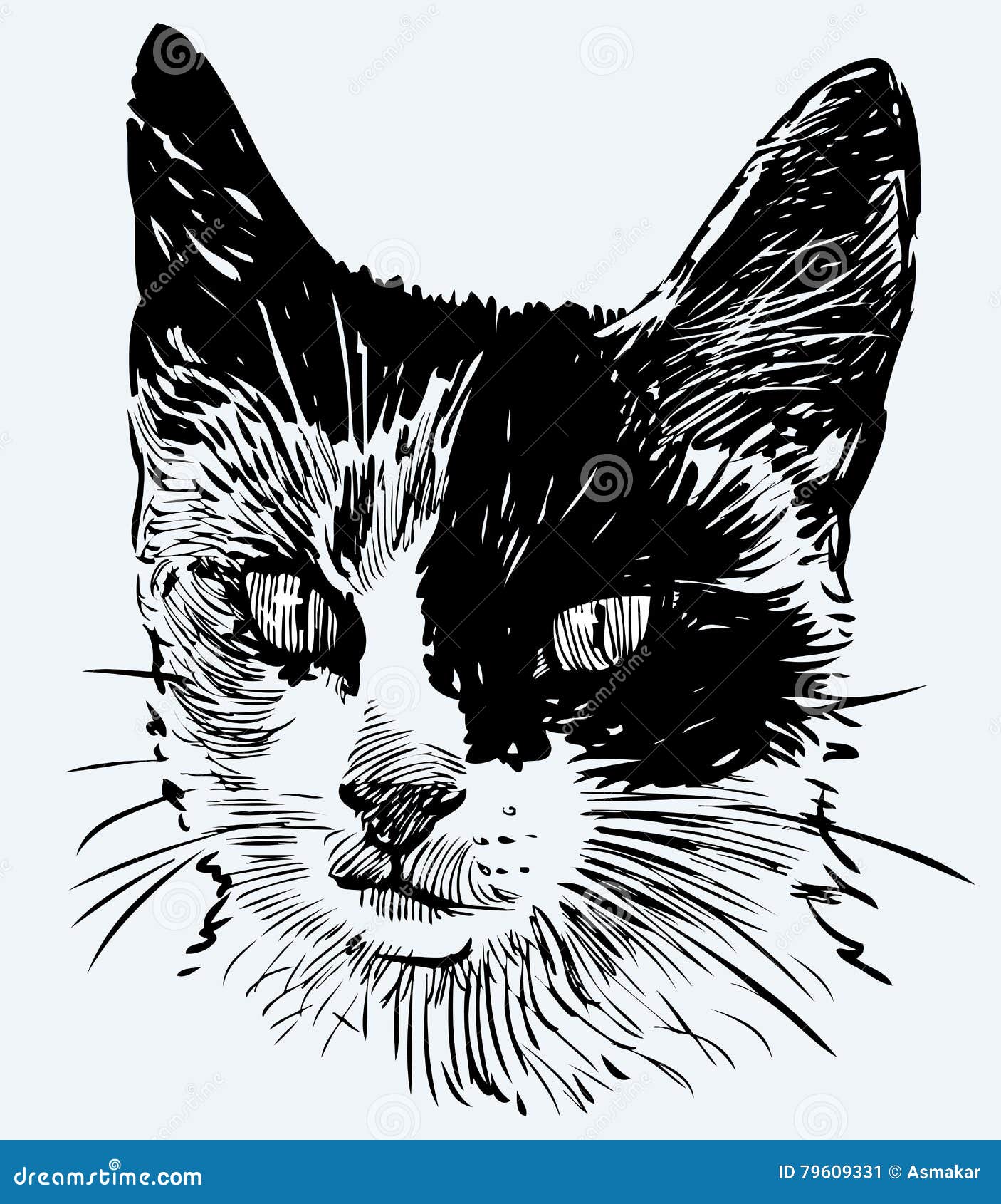 Head of a spotted kitten stock vector. Illustration of drawn - 79609331