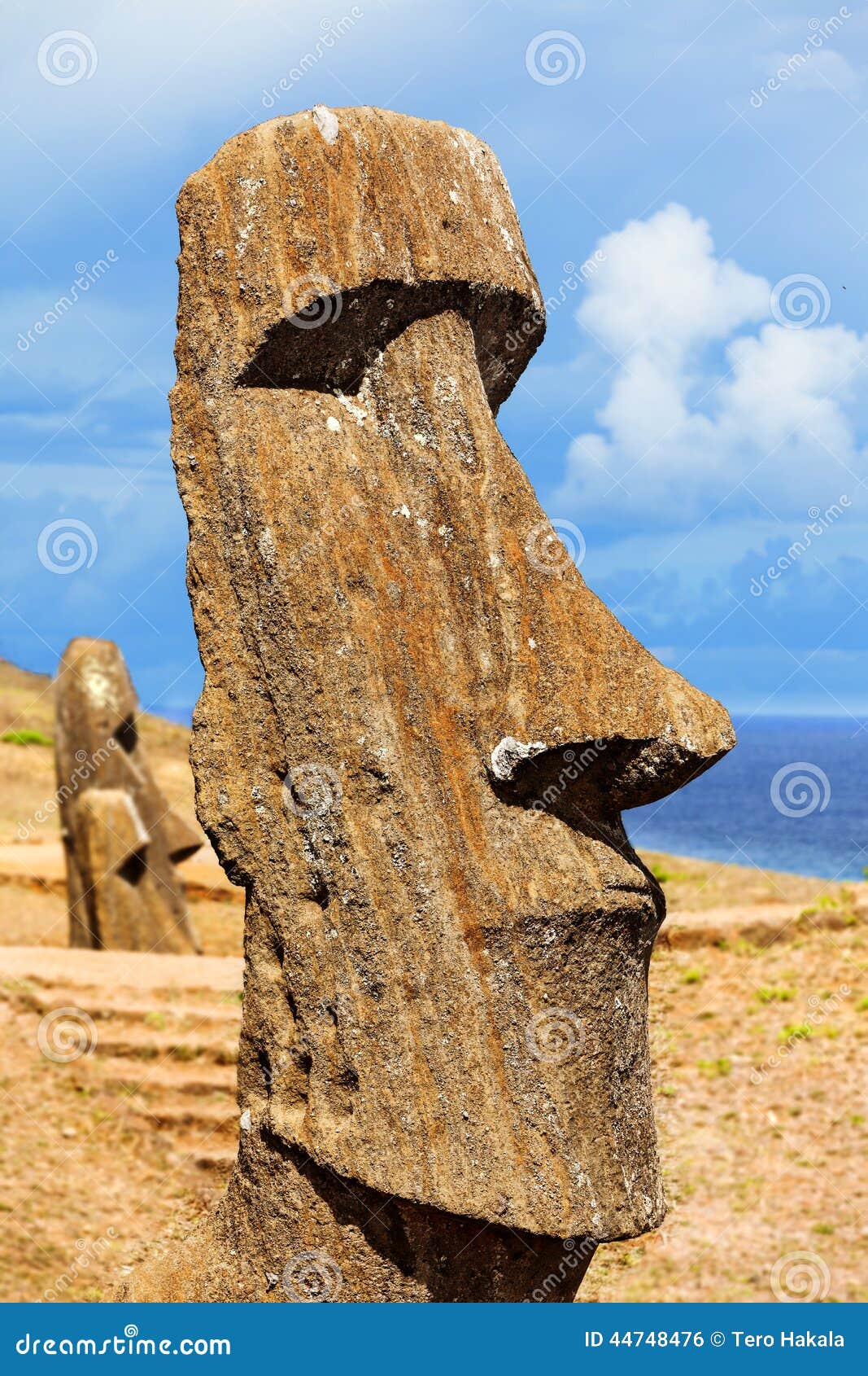 Head of a Standing Moai in Easter Island Stock Photo - Image of island ...