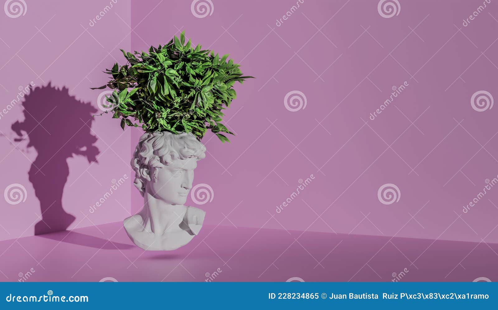 Head of a Statue of David on a Pink Background with Plants on His Head ...