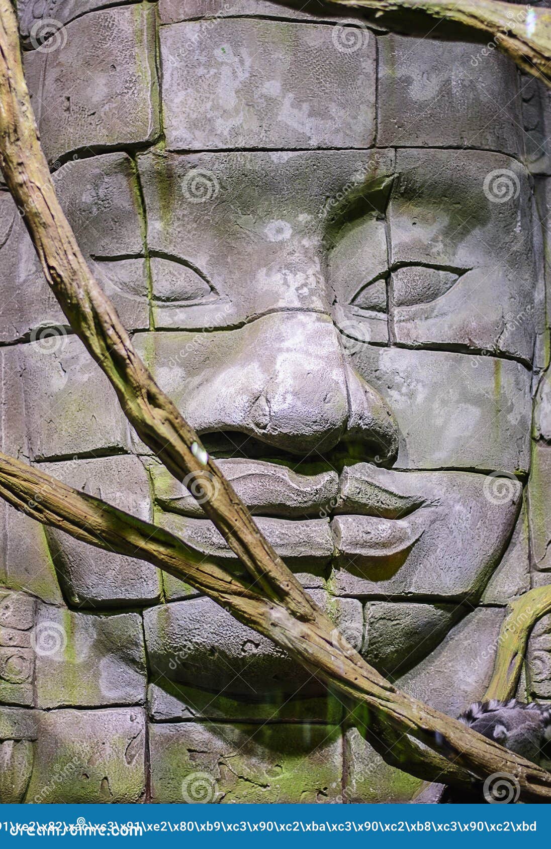 Head of stone stock image. Image of sculpture, heritage - 114799495