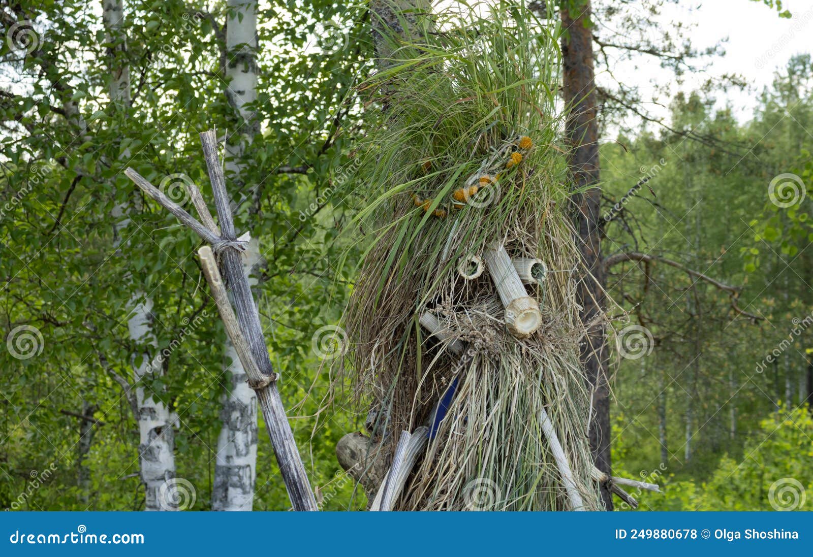 Head of Straw Puppet in the Forest. Eyes and Nose of Straw Puppet are ...