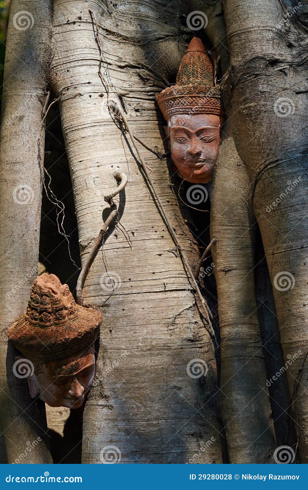 Head in tree stock photo. Image of tradition, wood, buddha - 29280028