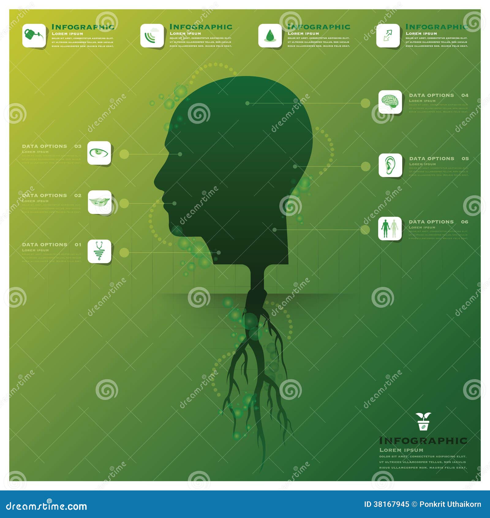 Head Tree and Root Infographic Design Template Stock Vector ...