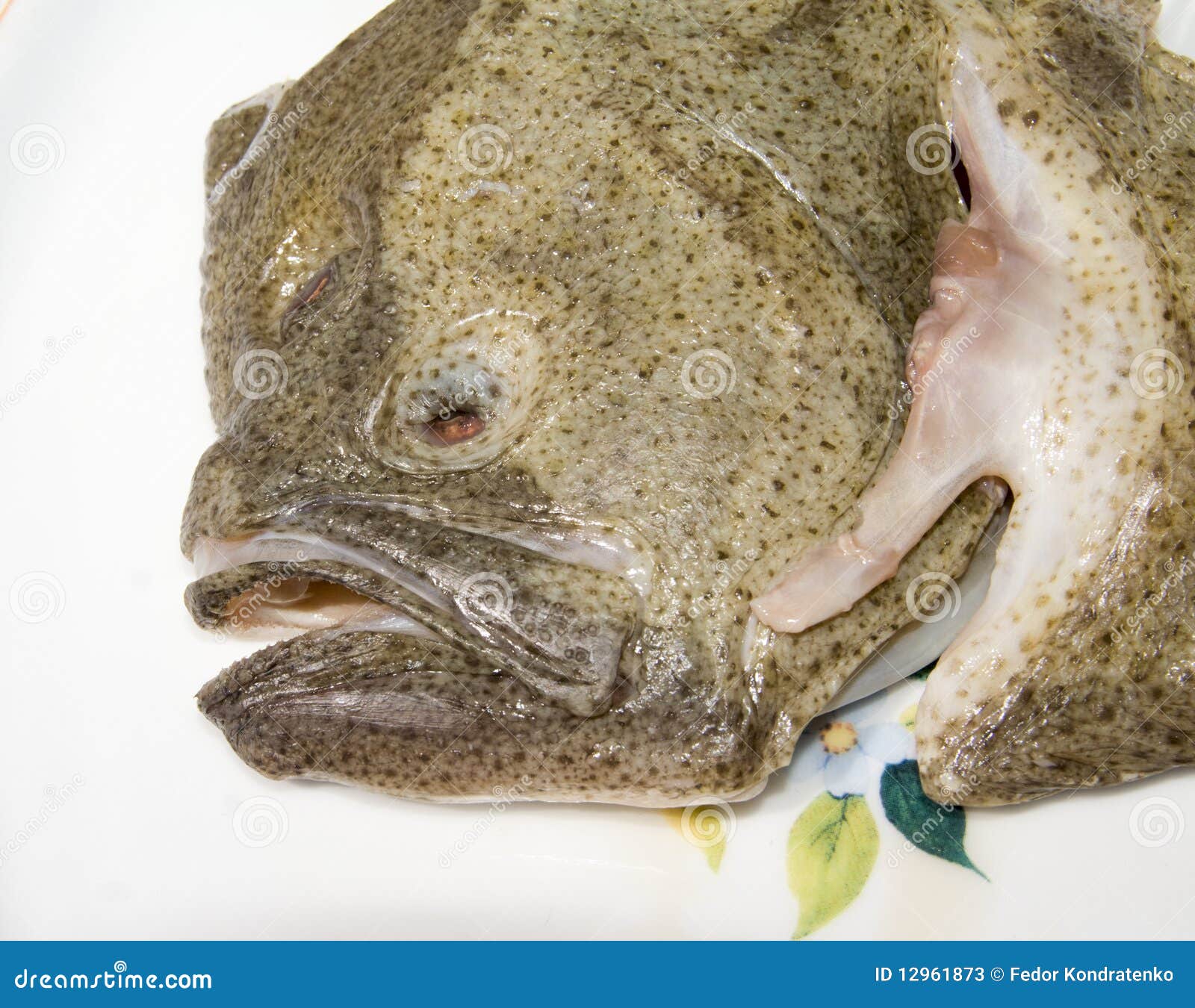 Head of turbot stock image. Image of saltwater, head - 12961873