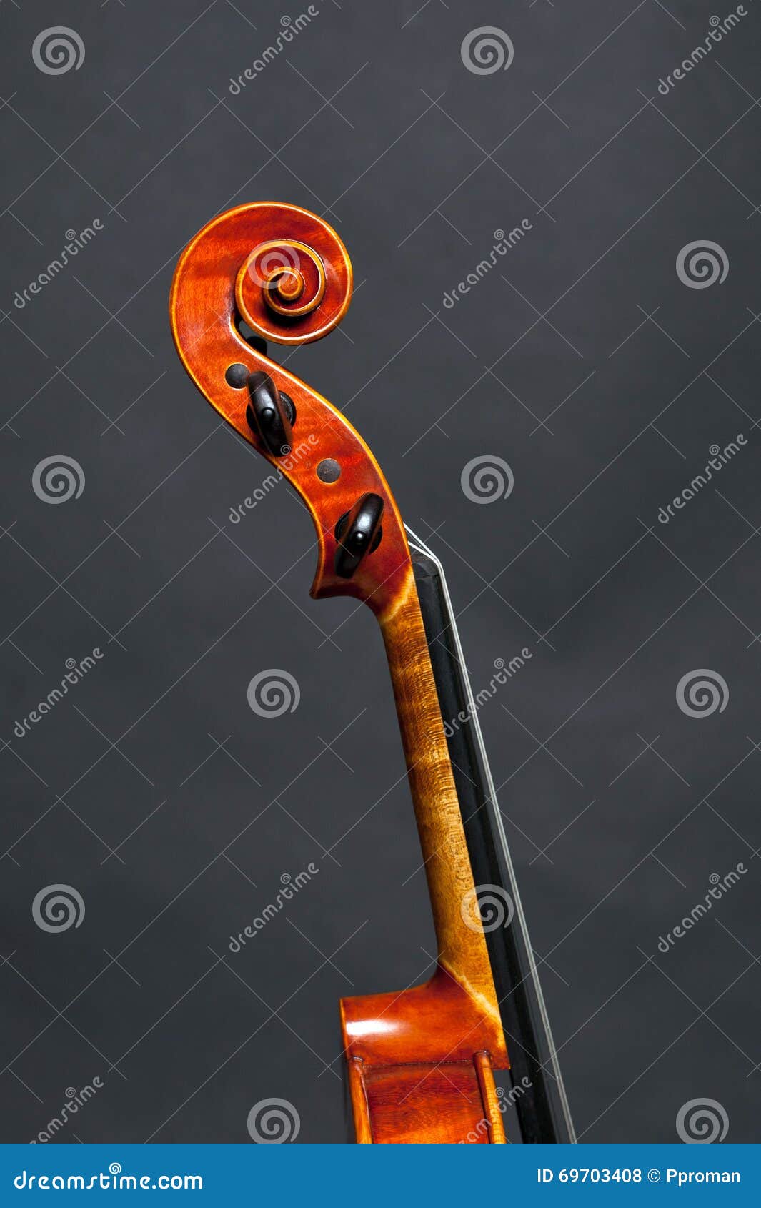 Cello Head Royalty-Free Stock Photo | CartoonDealer.com #33031815