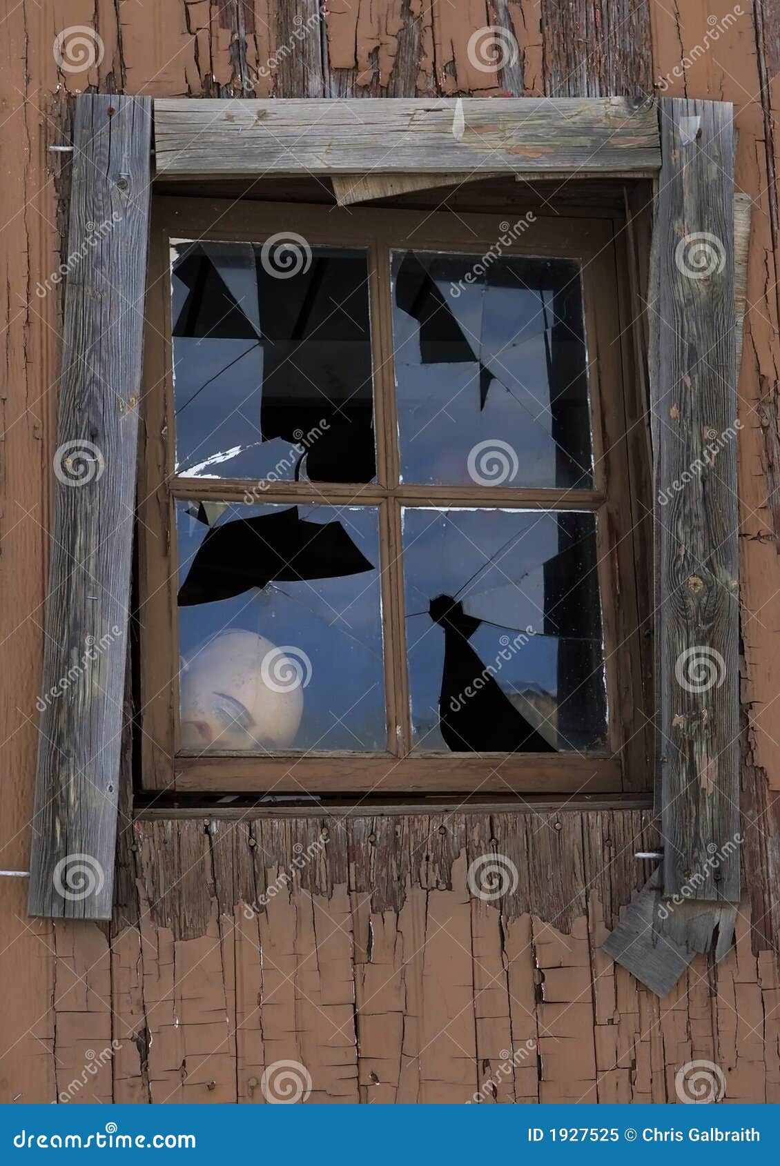 Head In Window Picture. Image: 1927525