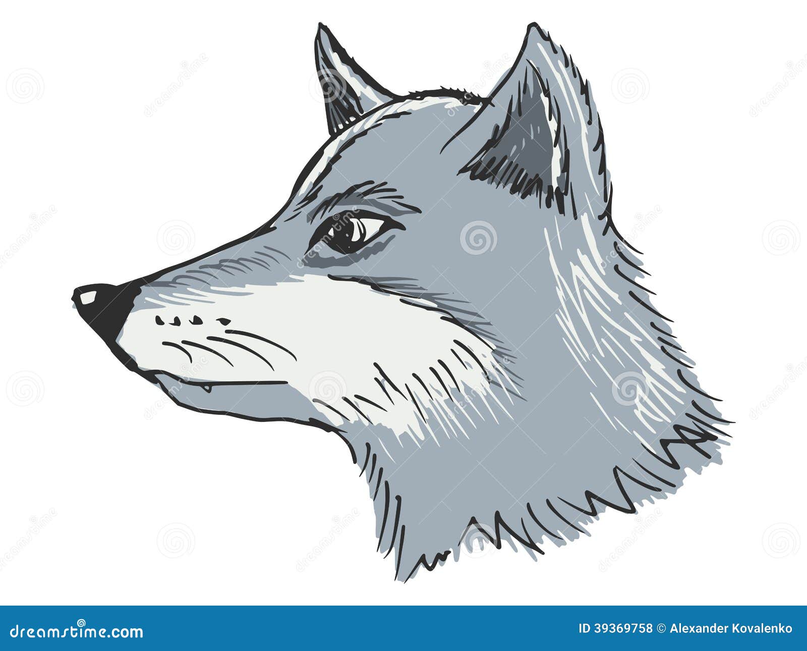 Head of wolf stock vector. Illustration of drawing, funny - 39369758