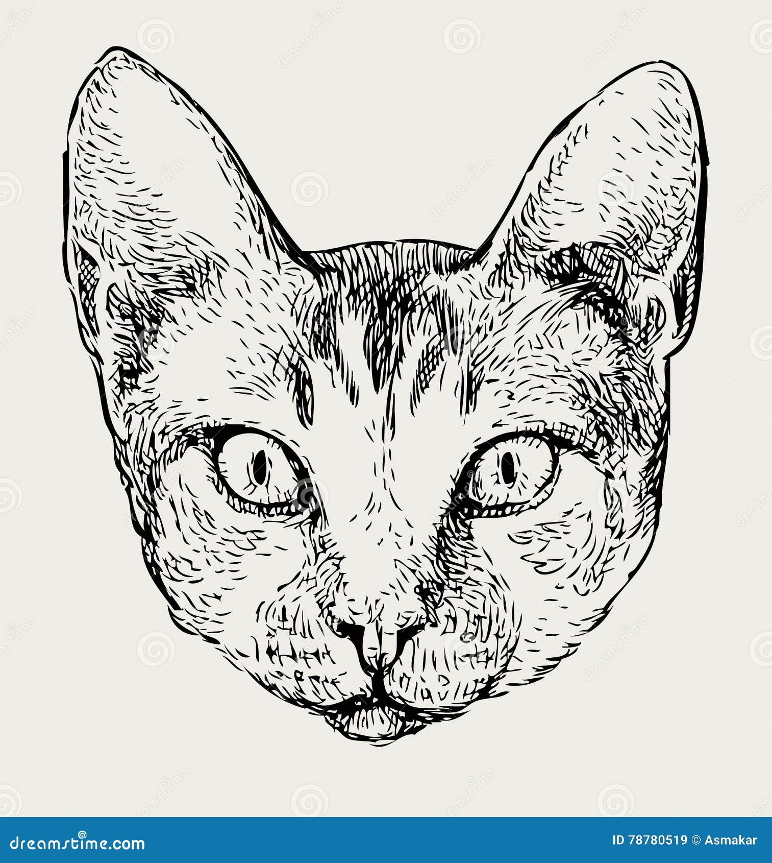 Head of an young cat stock vector. Illustration of feline - 78780519