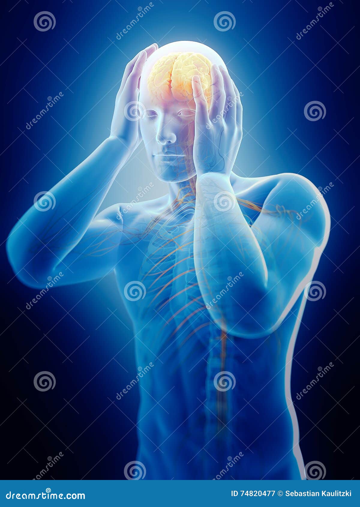 Headache X-ray Scan Of Human Body With Visible Brain 3d Render Royalty ...