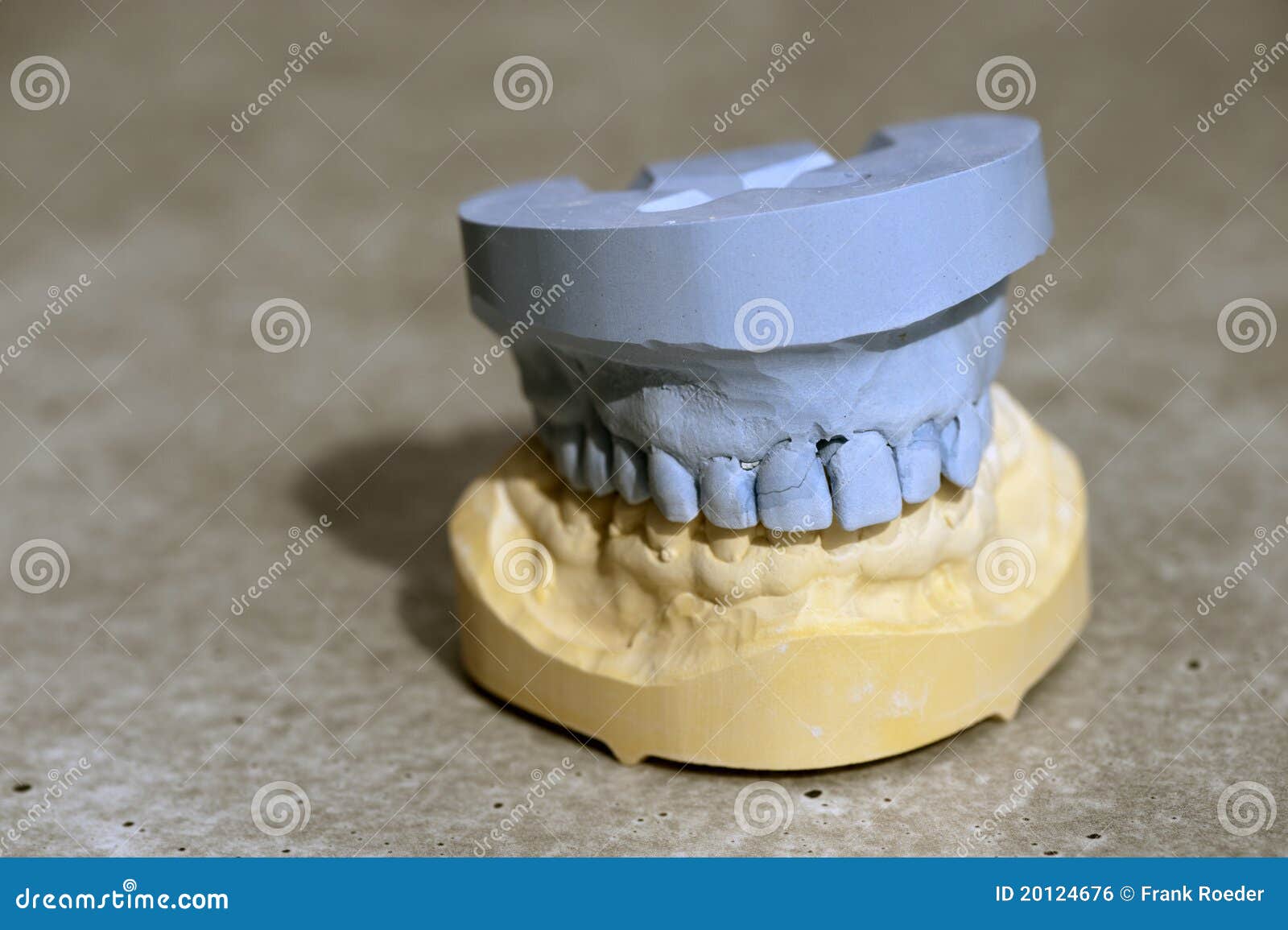 Header Model Picture. Image: 20124676