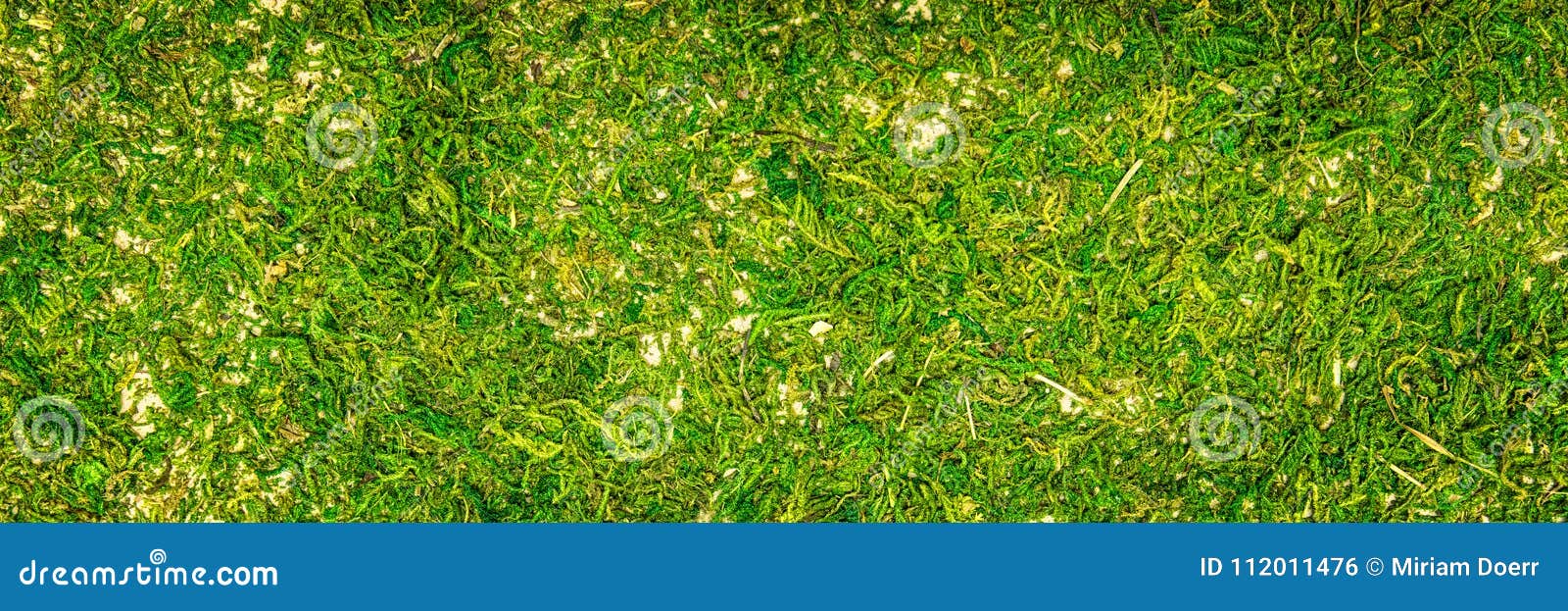 Moss Ground Normal Map Texture, Bump Map Texture Stock Photo ...