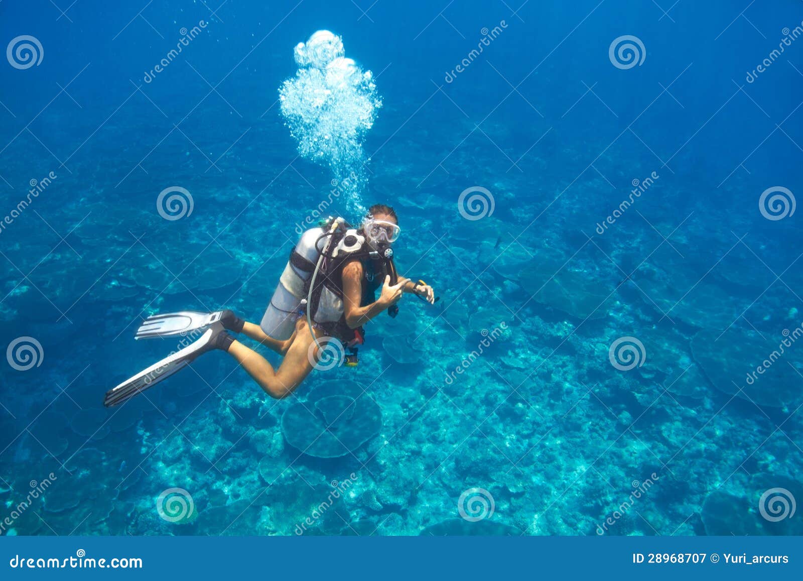 Heading Out into the Deep Blue Sea Stock Image - Image of caucasian ...