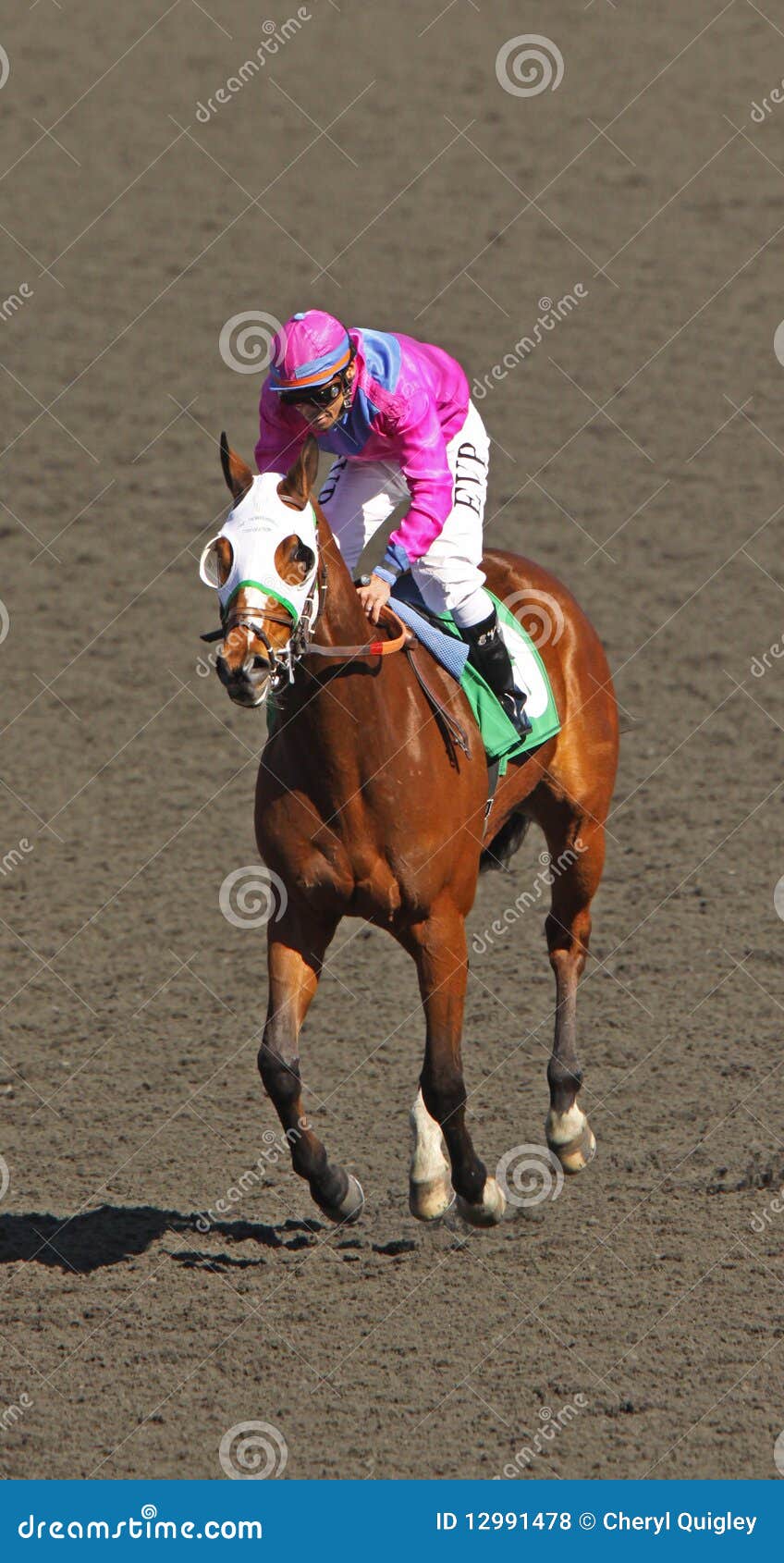 Heading To the Winner S Circle Editorial Stock Photo - Image of gamble ...