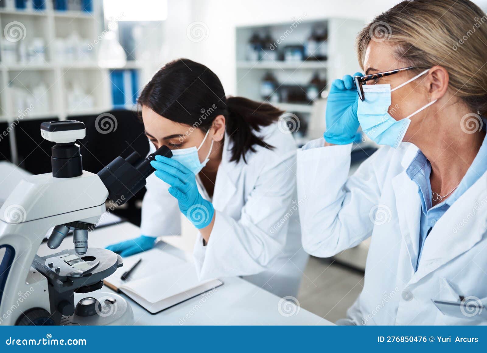 Heading Towards the Discovery of a New Breakthrough. Two Scientists ...