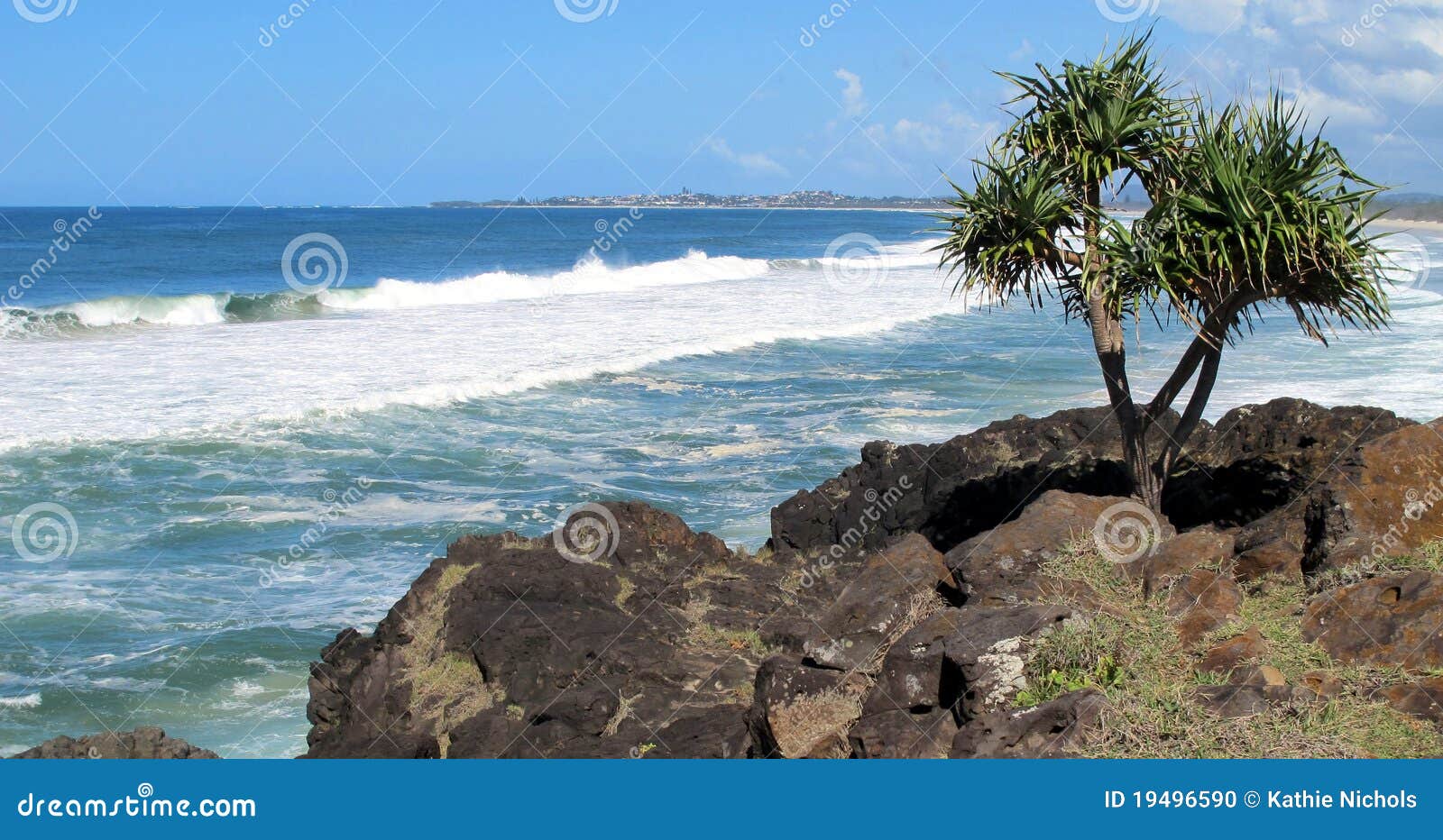 On the Headland at Fingal Head, NSW Stock Photo - Image of white, south ...