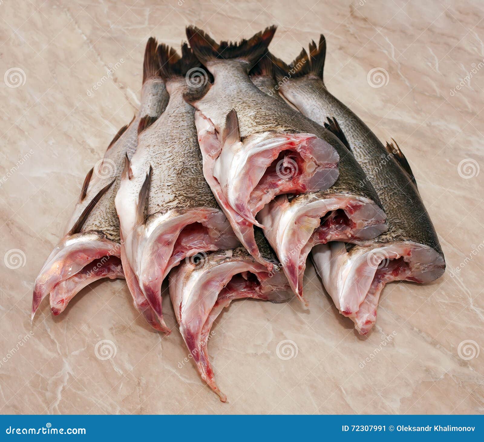 Headless Carcass Silver Carp Stock Image - Image of fish, fresh: 72307991