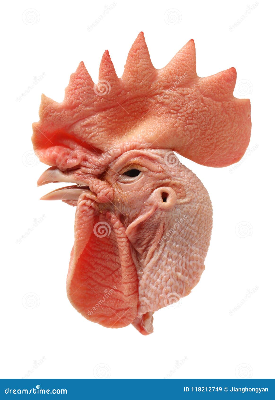 Headless chicken stock image. Image of death, fragility - 118212749