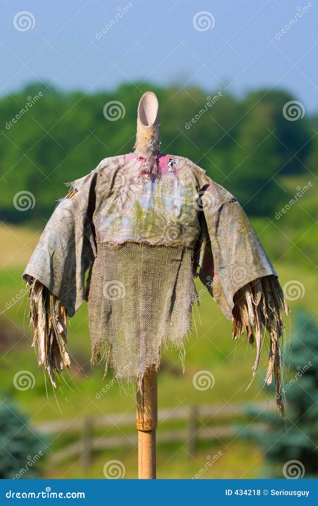 Headless scarecrow stock photo. Image of scarecrow, agriculture - 434218