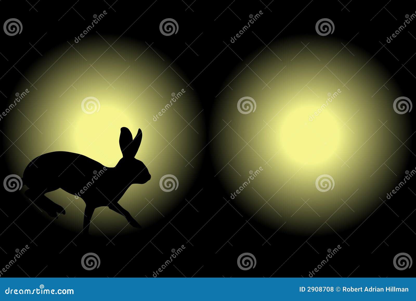 Roadkill Cartoons, Illustrations & Vector Stock Images - 101 Pictures ...