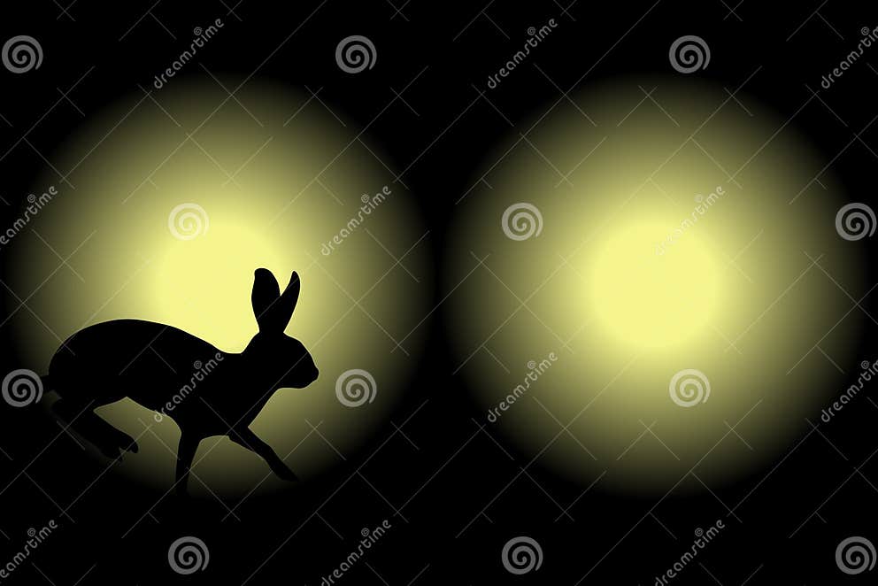 Headlight rabbit stock vector. Illustration of casualty - 2908708