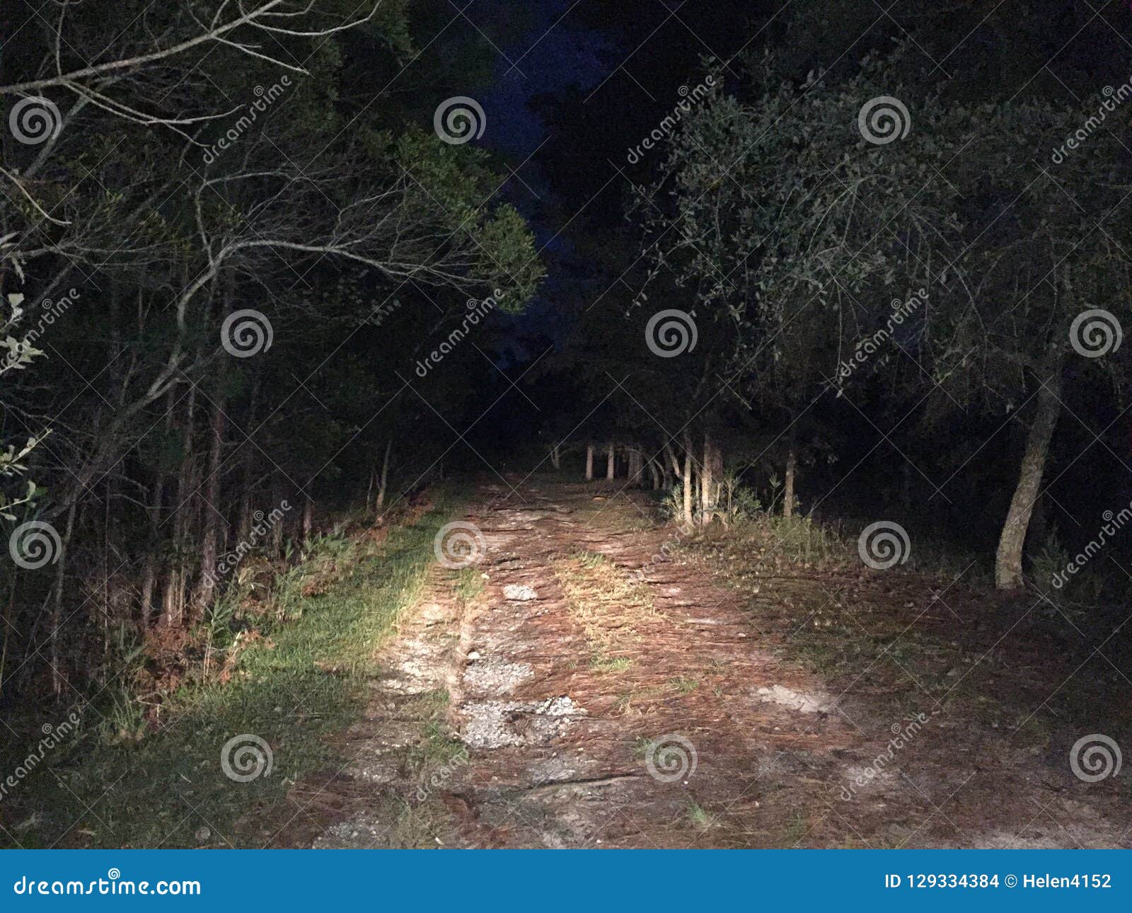 Headlights Shining Down a Dark Lonely Path Stock Photo - Image of ...