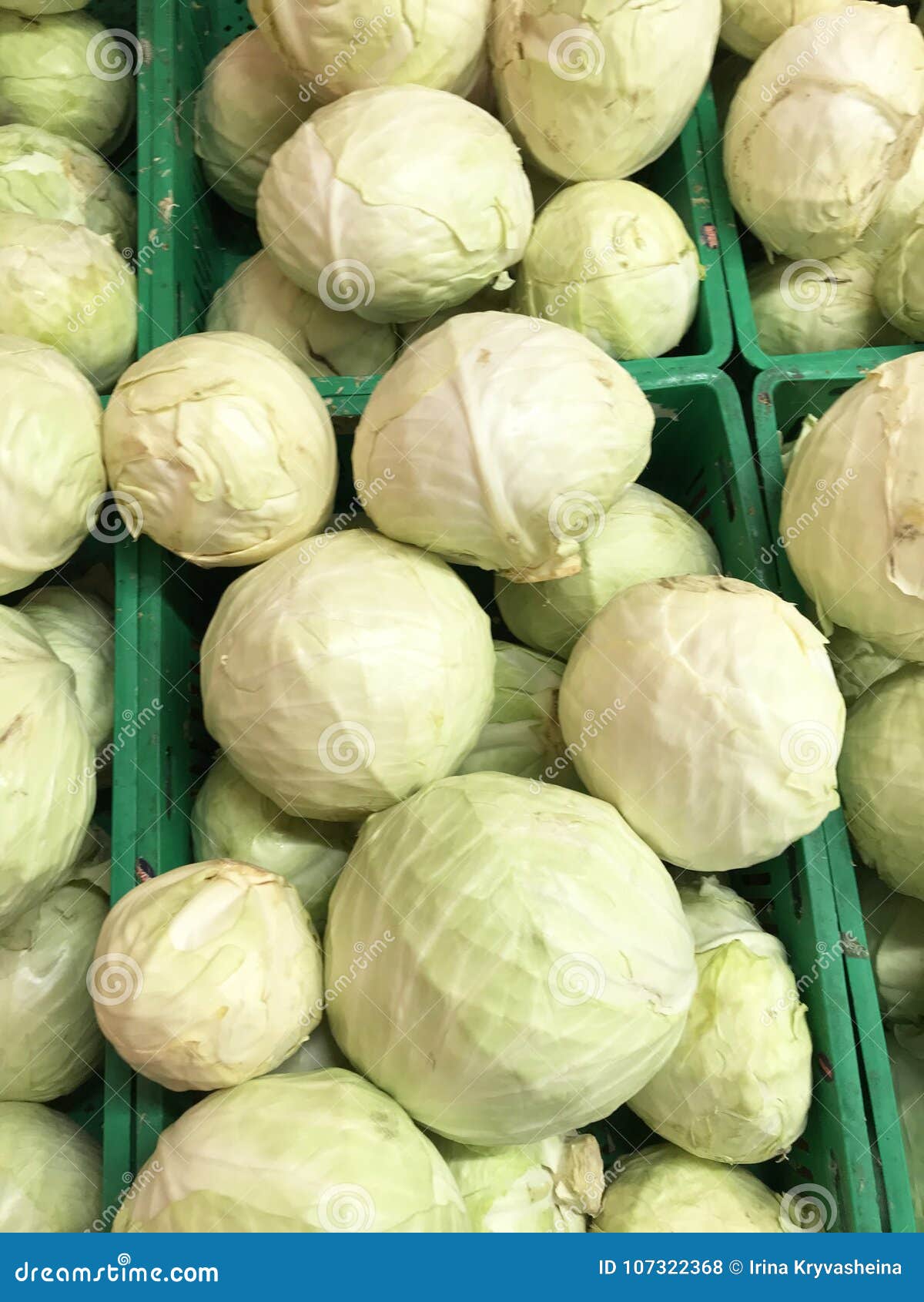 Heads cabbage in boxes stock photo. Image of farm, garden - 107322368