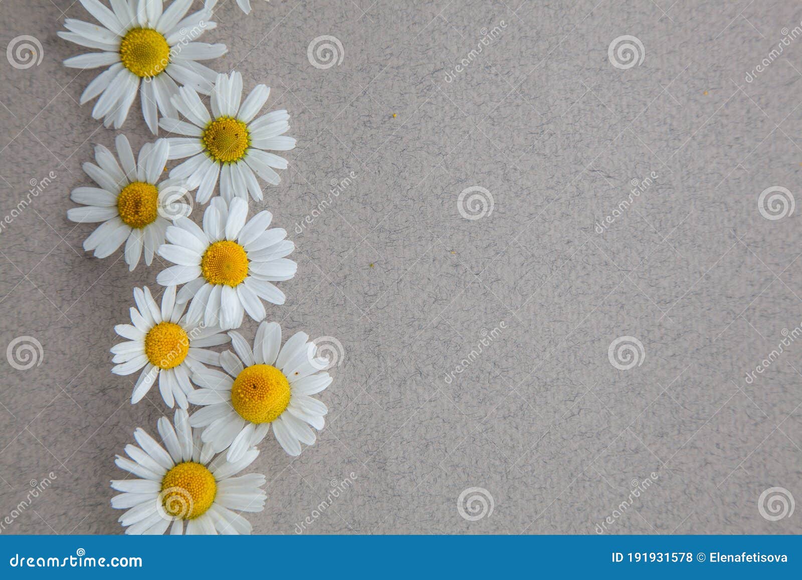 A Daisy Frame On A Pink Background Royalty-Free Stock Photography ...