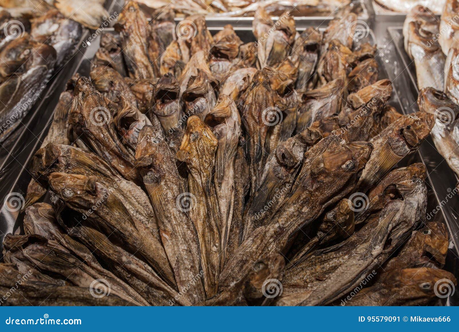 Heads of dried fish stock image. Image of fish, closeup - 95579091