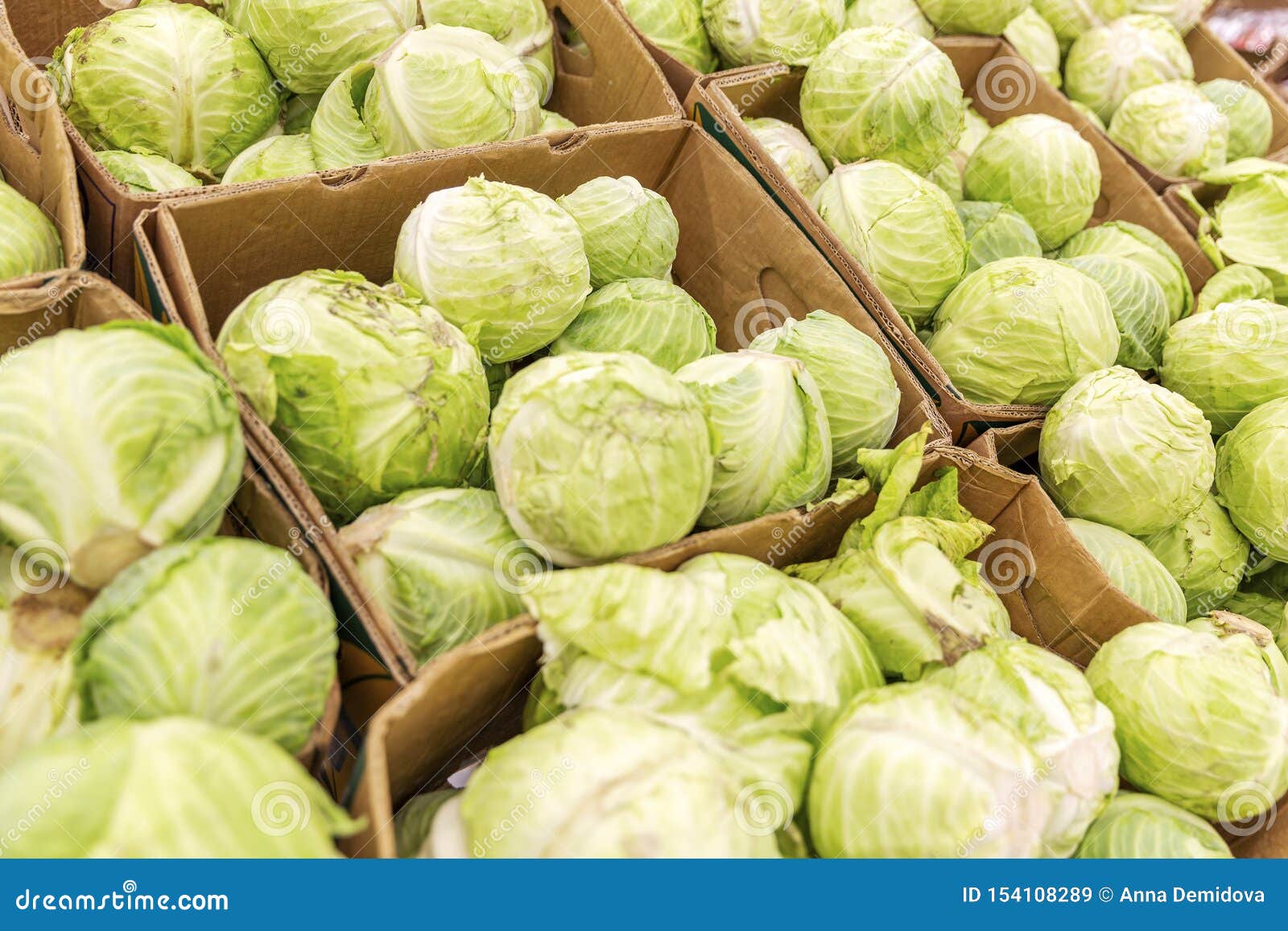 Heads of Fresh Cabbage in Boxes in a Supermarket. Close-up Stock Image ...
