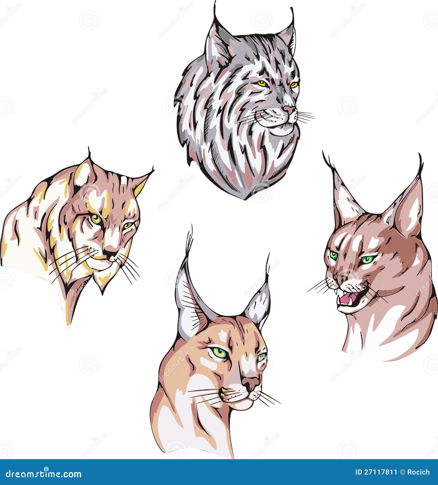 Heads Of Lynx Cartoon Vector | CartoonDealer.com #27117811