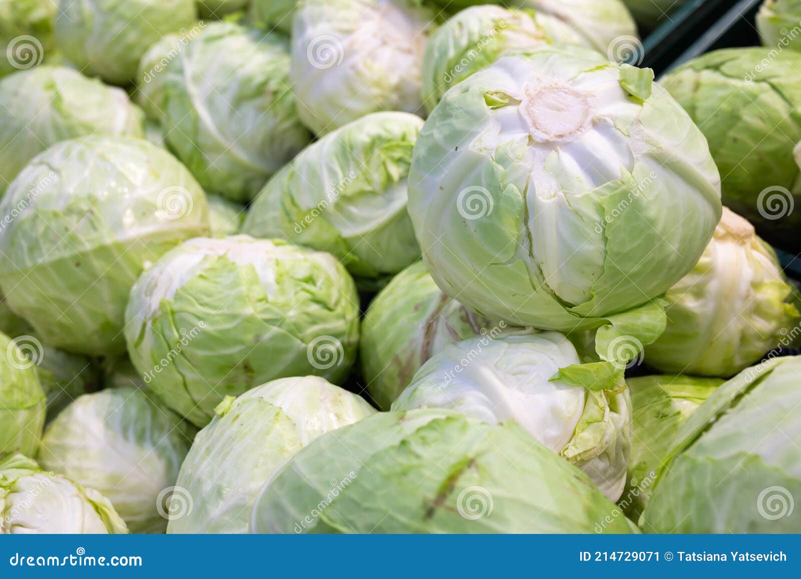 Heads Ripe Cabbage Texture Background Stock Image - Image of container ...
