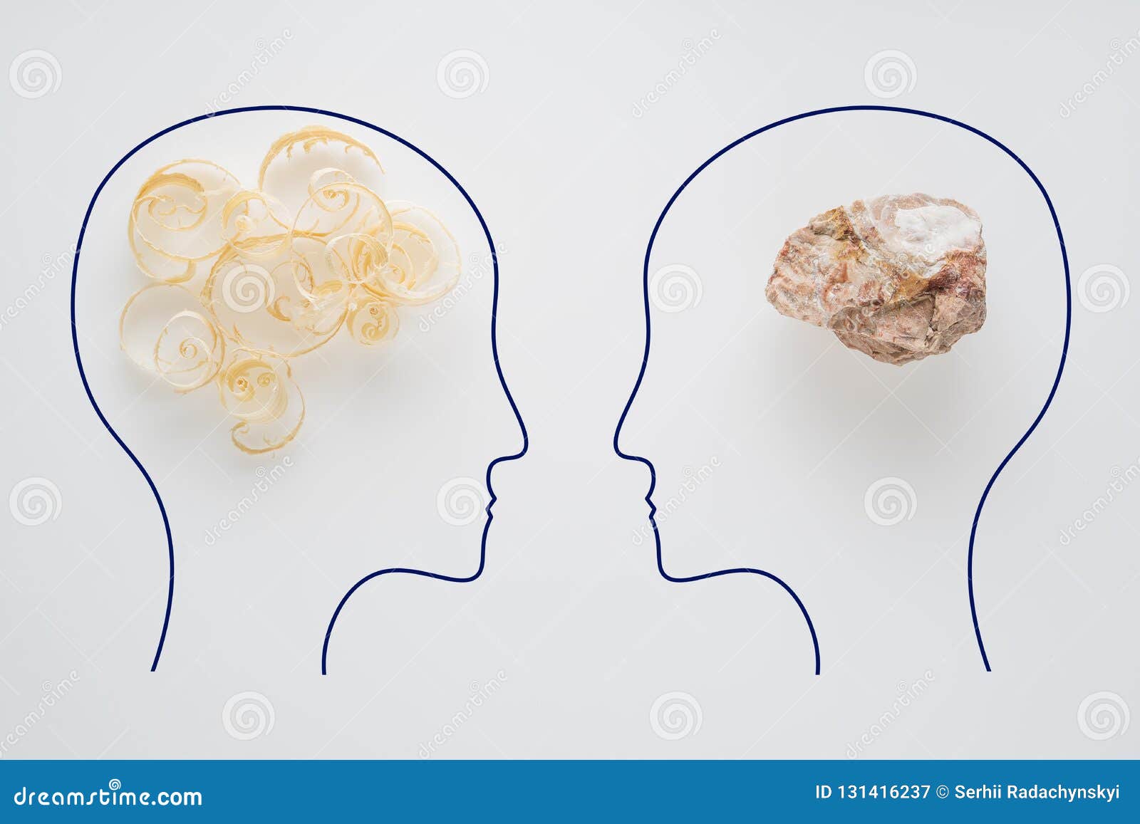 Heads of Two People with Sawdust Brain Shape and Stone Brain Shape. Two ...