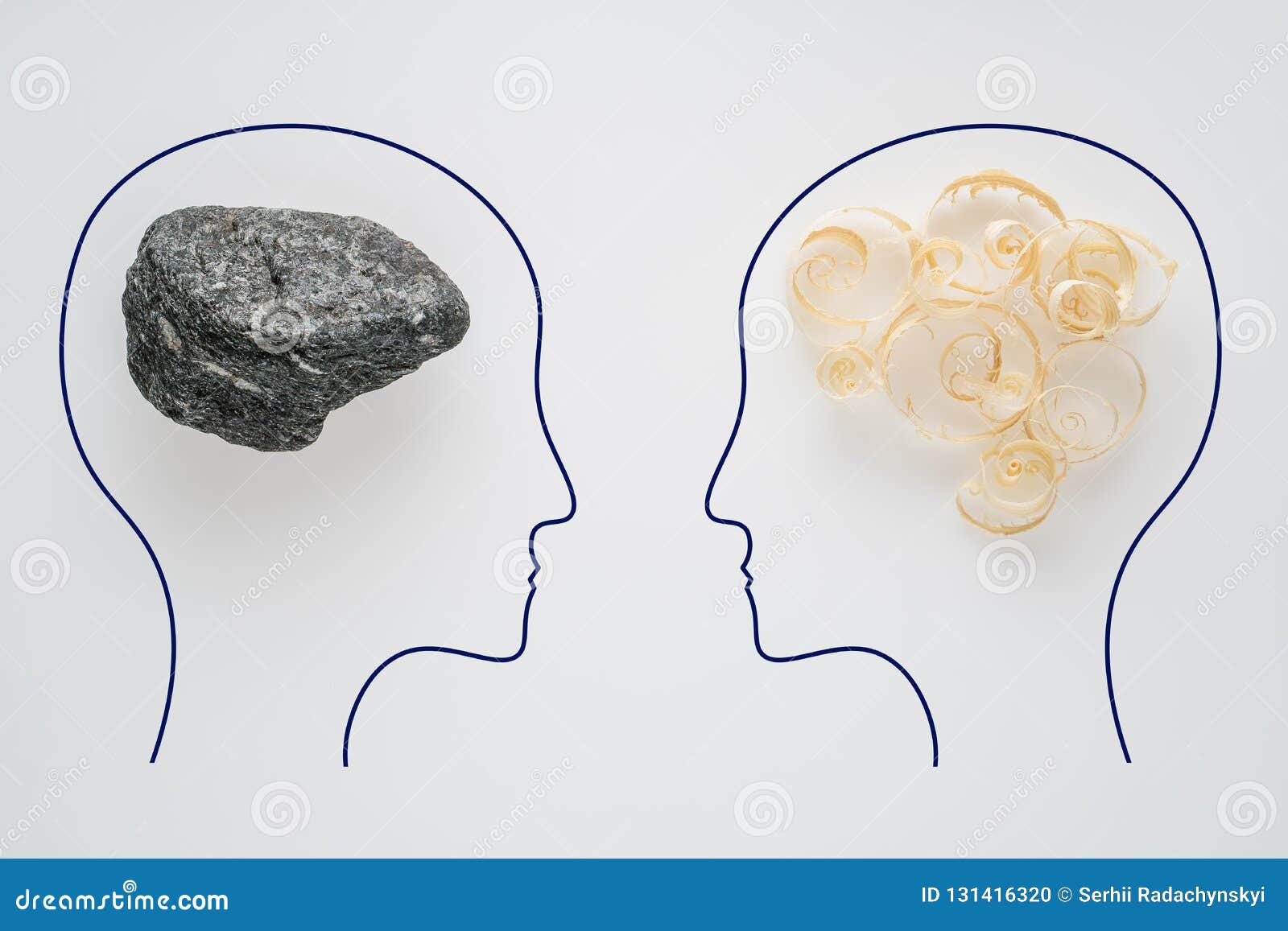 Heads of Two People with Sawdust Brain Shape and Stone Brain Shape. Two ...