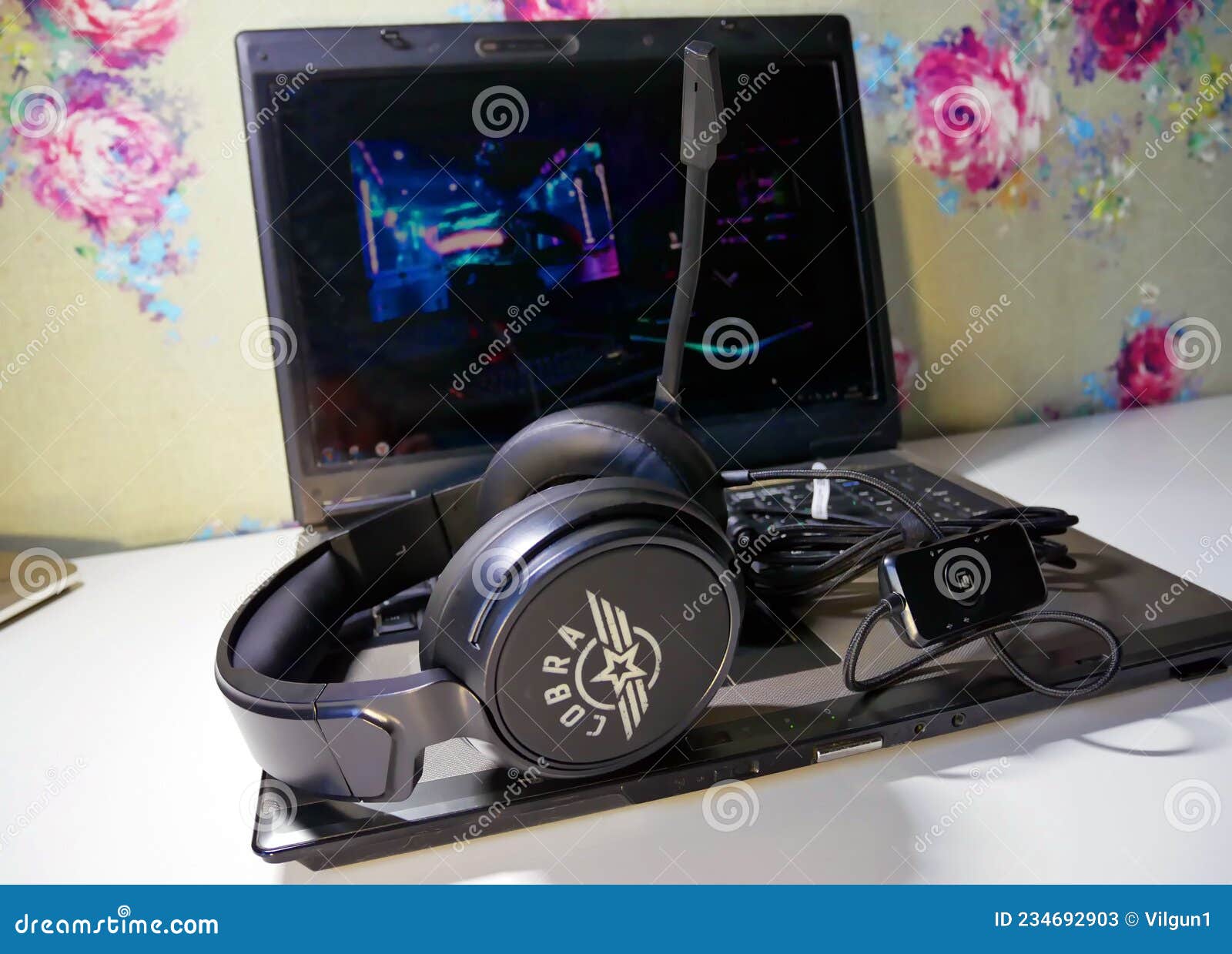 Headset for a Personal Computer. Headset - Headphones for Use with a ...