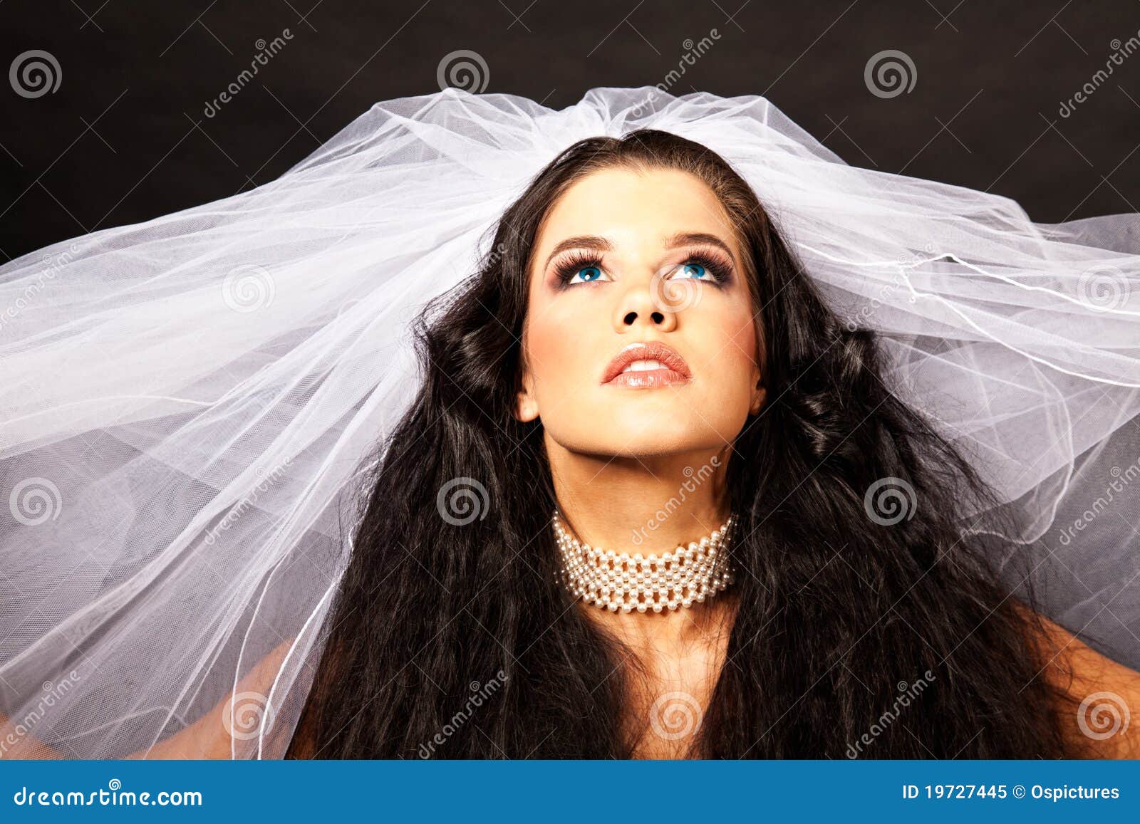 Headshot of bride stock image. Image of happiness, love - 19727445
