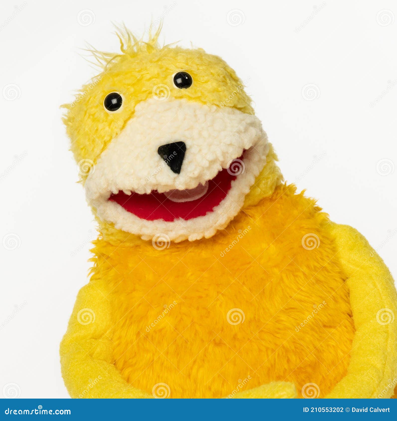 Headshot of Flat Eric Puppet Editorial Photography - Image of flat ...