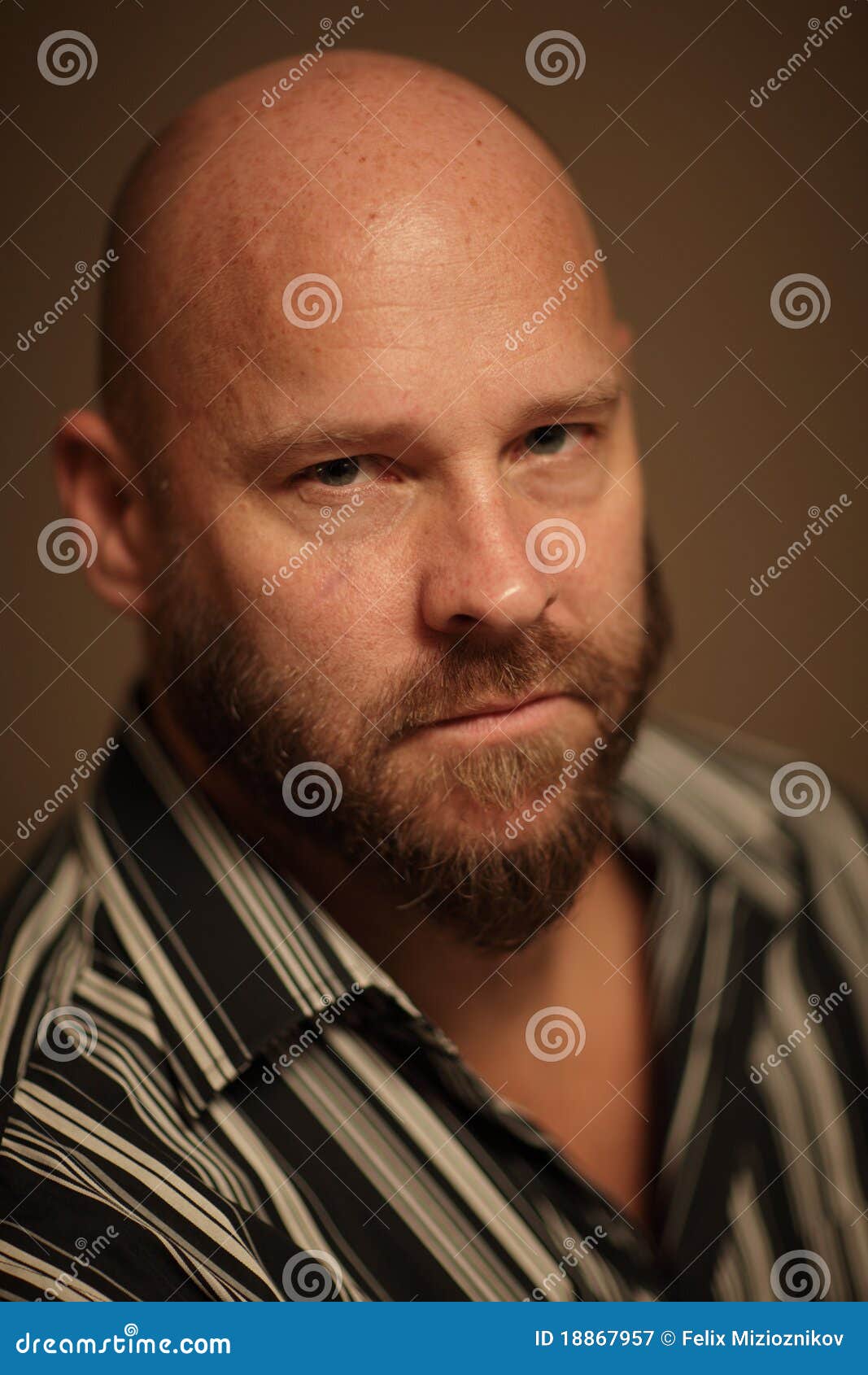 Headshot van een kale mens stock afbeelding. Image of knap - 18867957